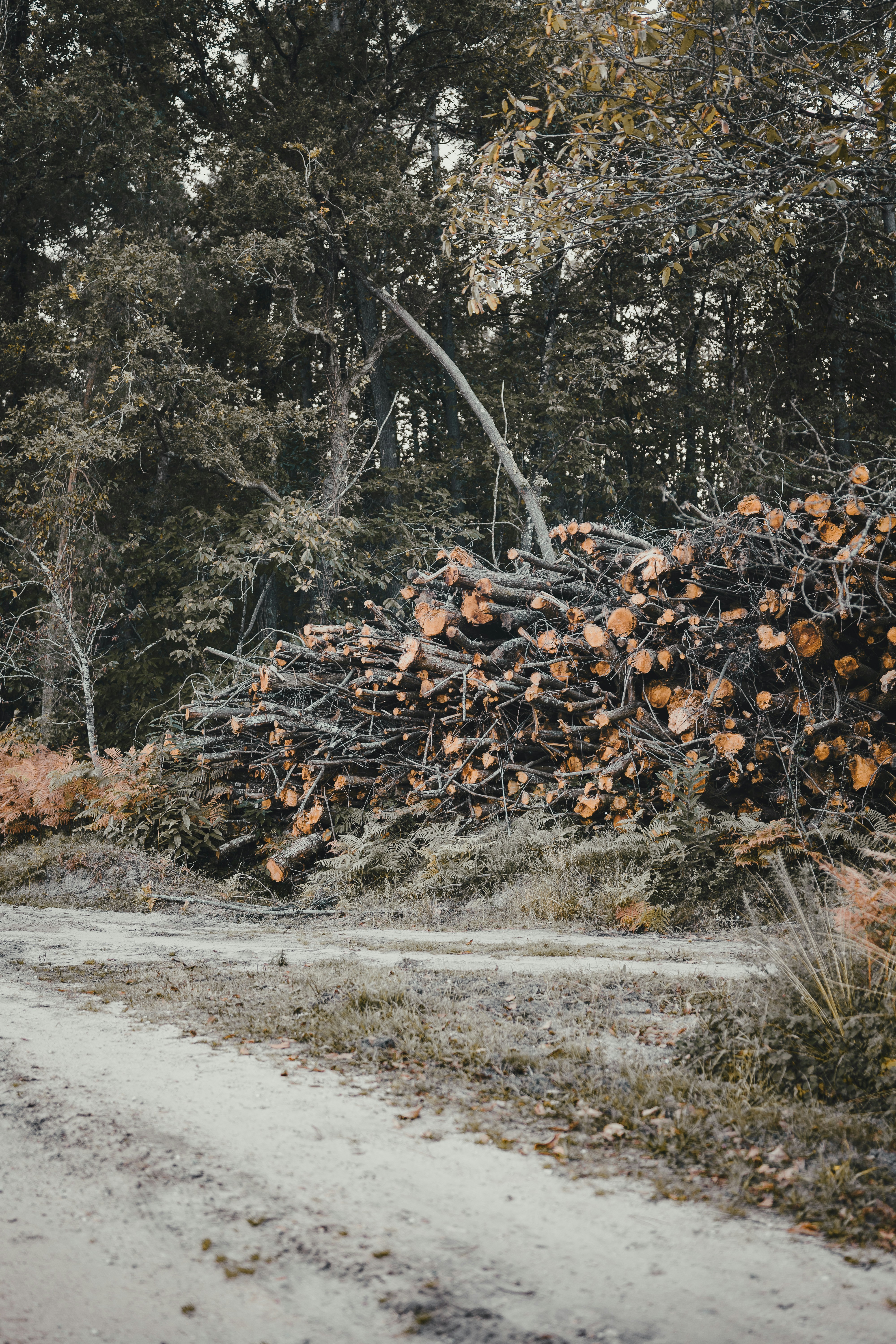 Photo by Martin Baron with Panasonic Lumix S1