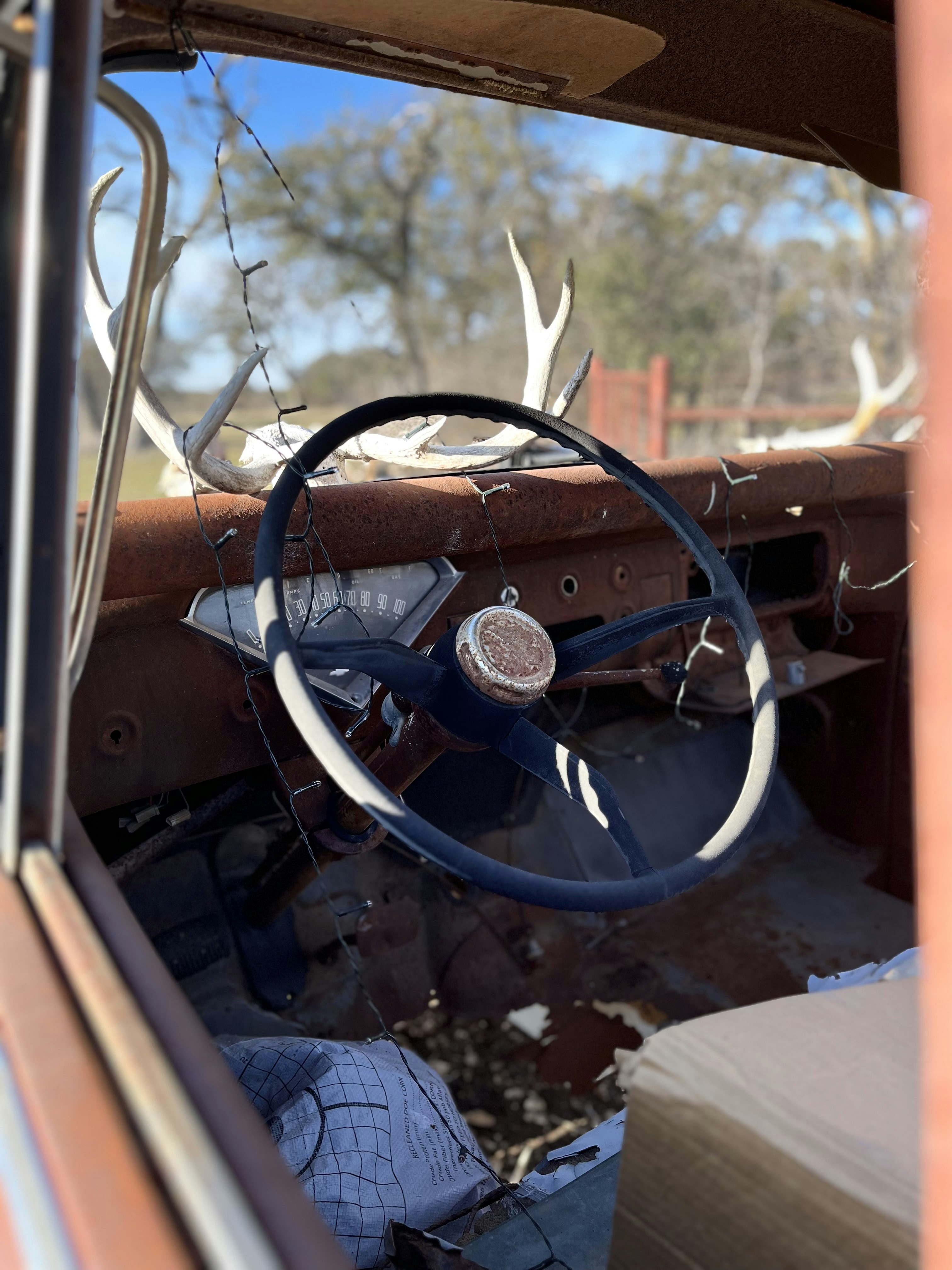 Photo by Hoshea Hersh with Apple iPhone 13