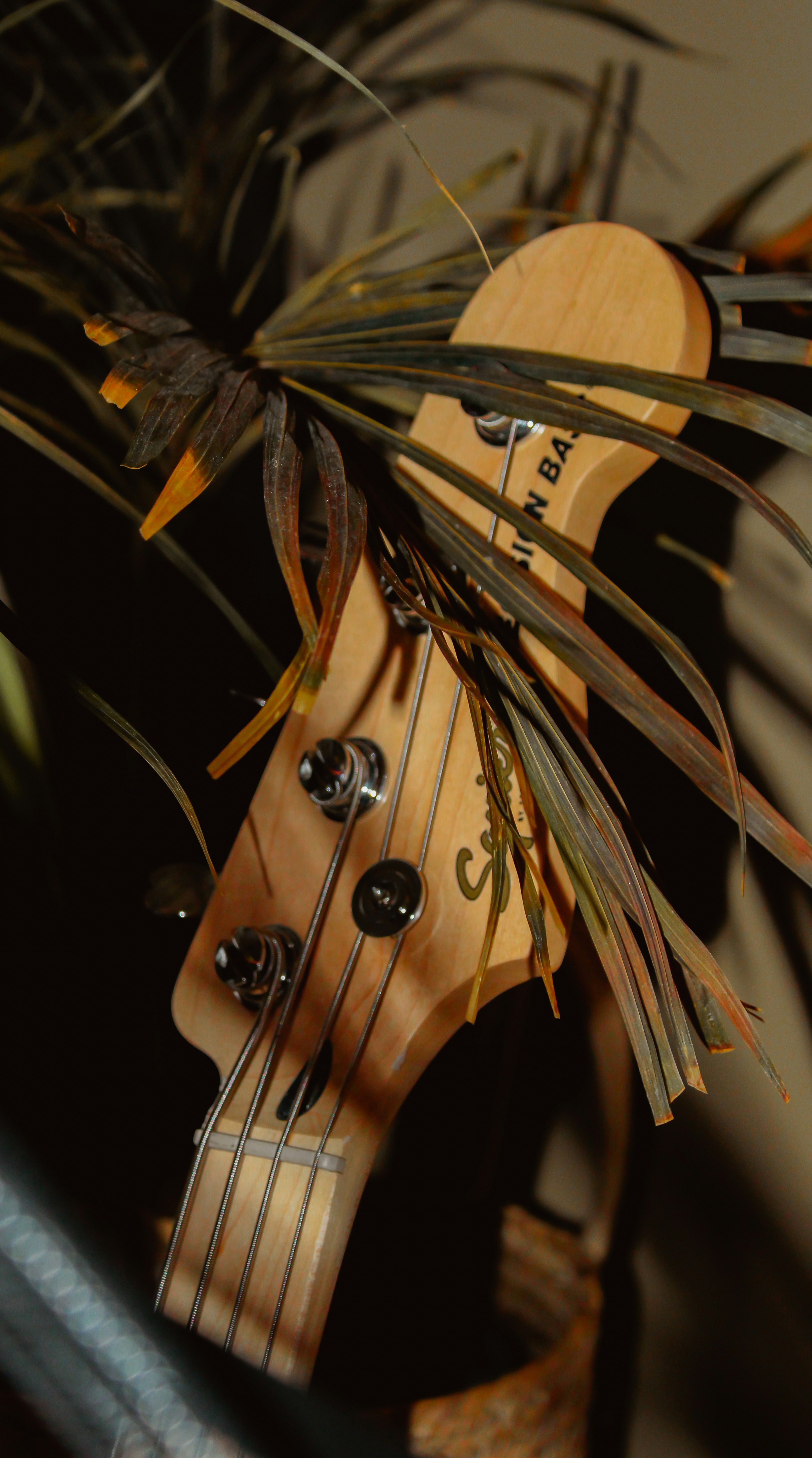 neck of fender squire bass guitar behind palm tree leaves