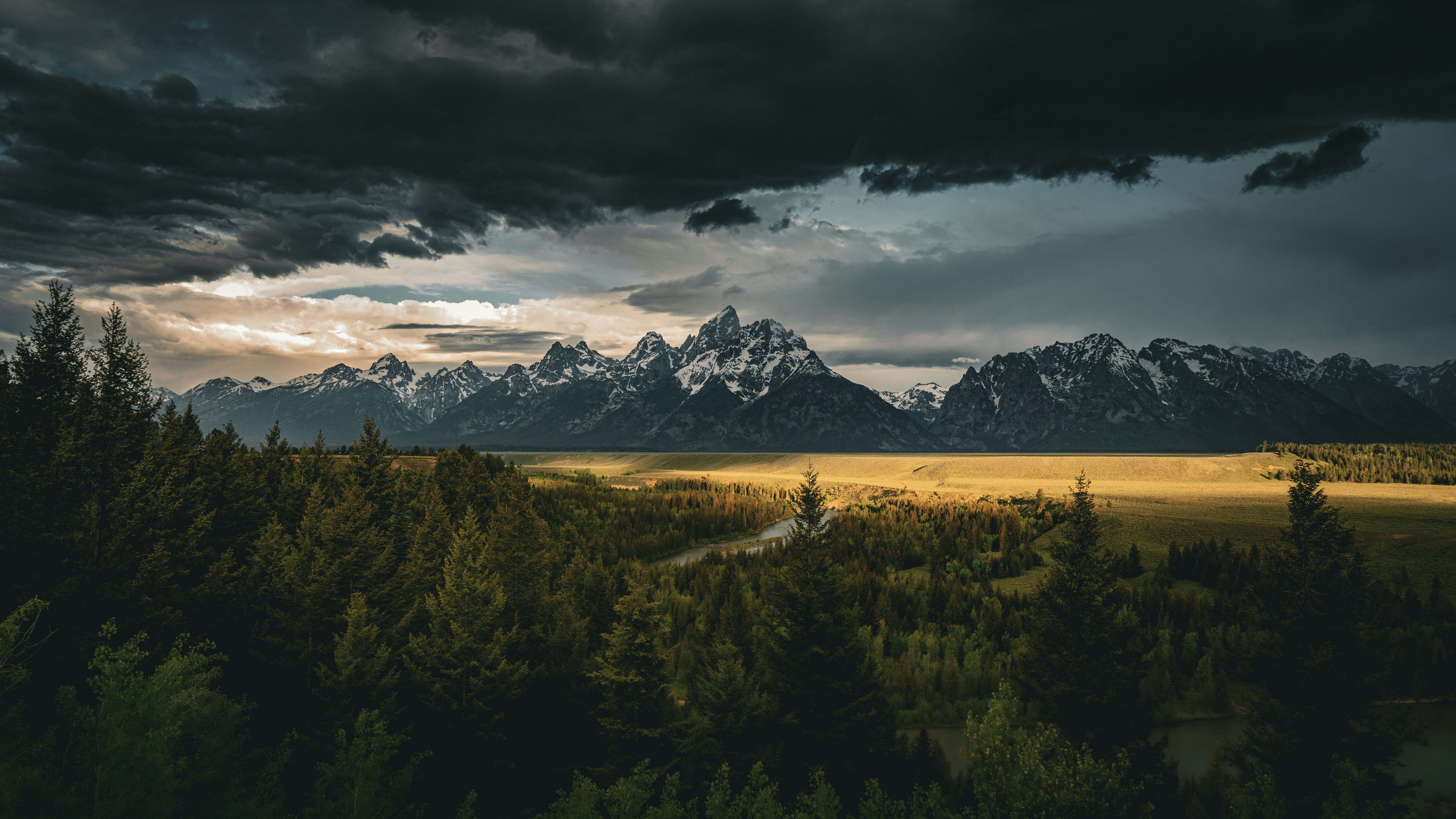 Gold Field Across a Pines-Fringed Valley Beneath Storm-Lit Peaks