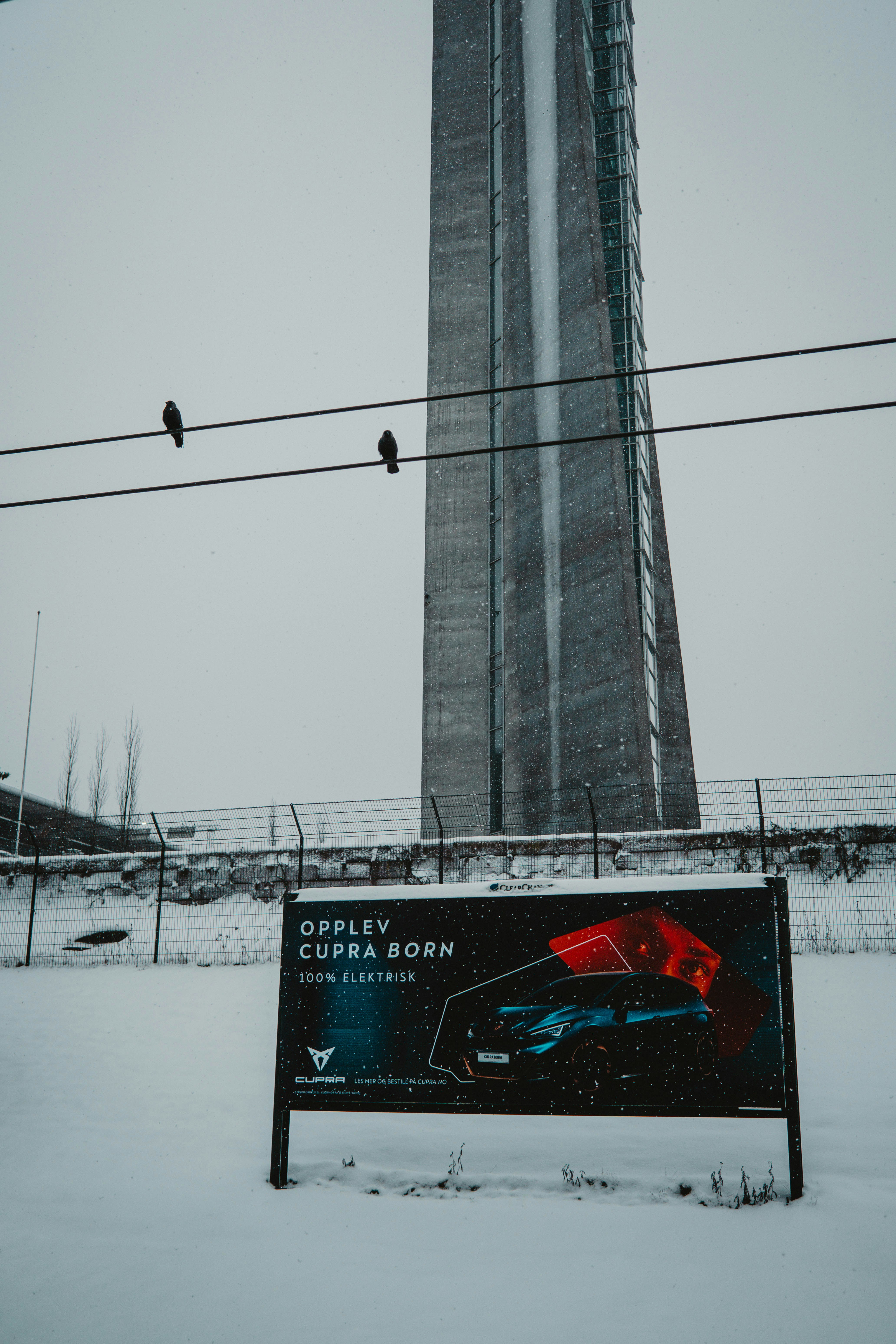 Two Birds Perch on Wires Beneath a Monumental Pylon in Snow