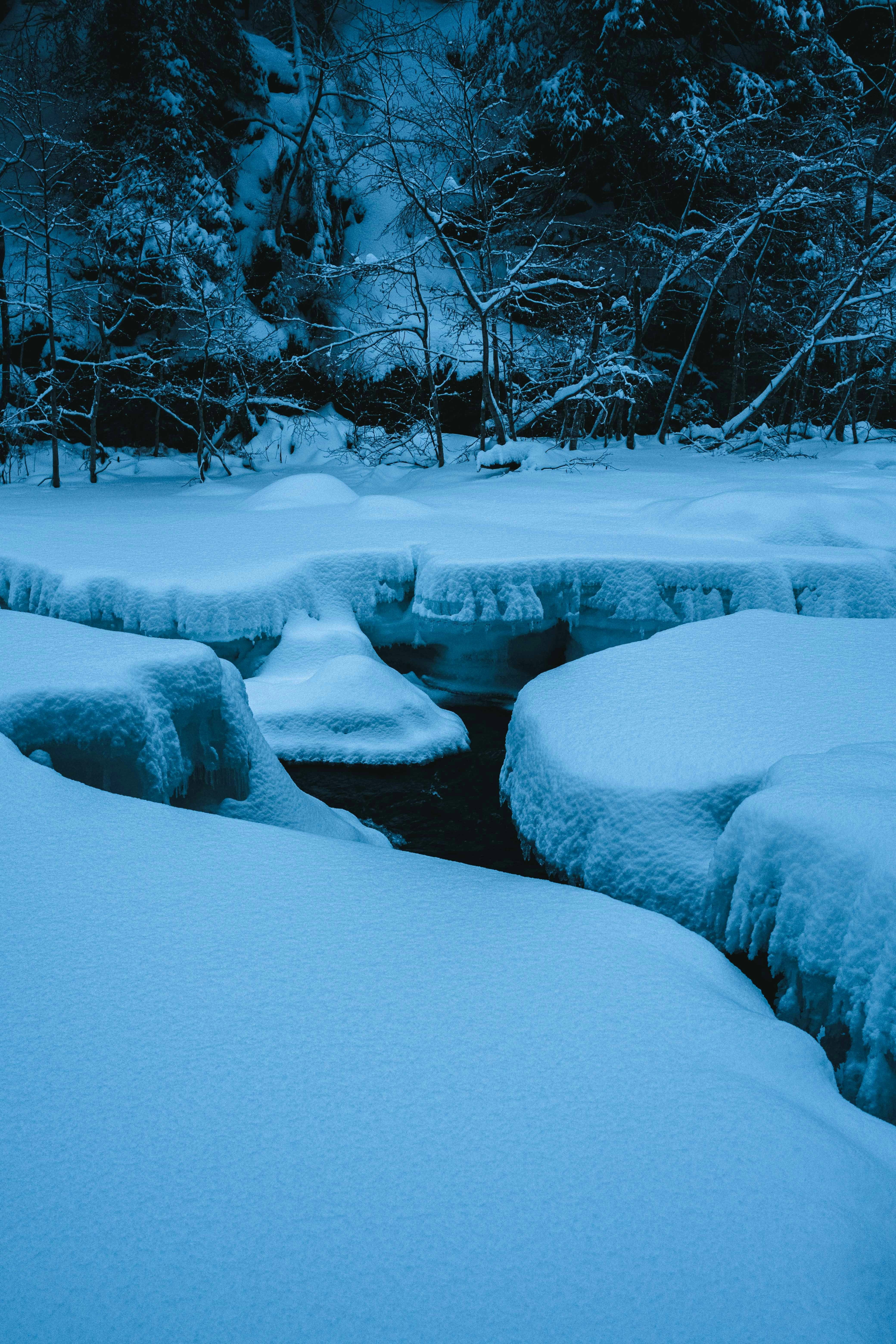 Indigo Quiet: Snow-Wrapped Creek Carved Through Frozen Terrain