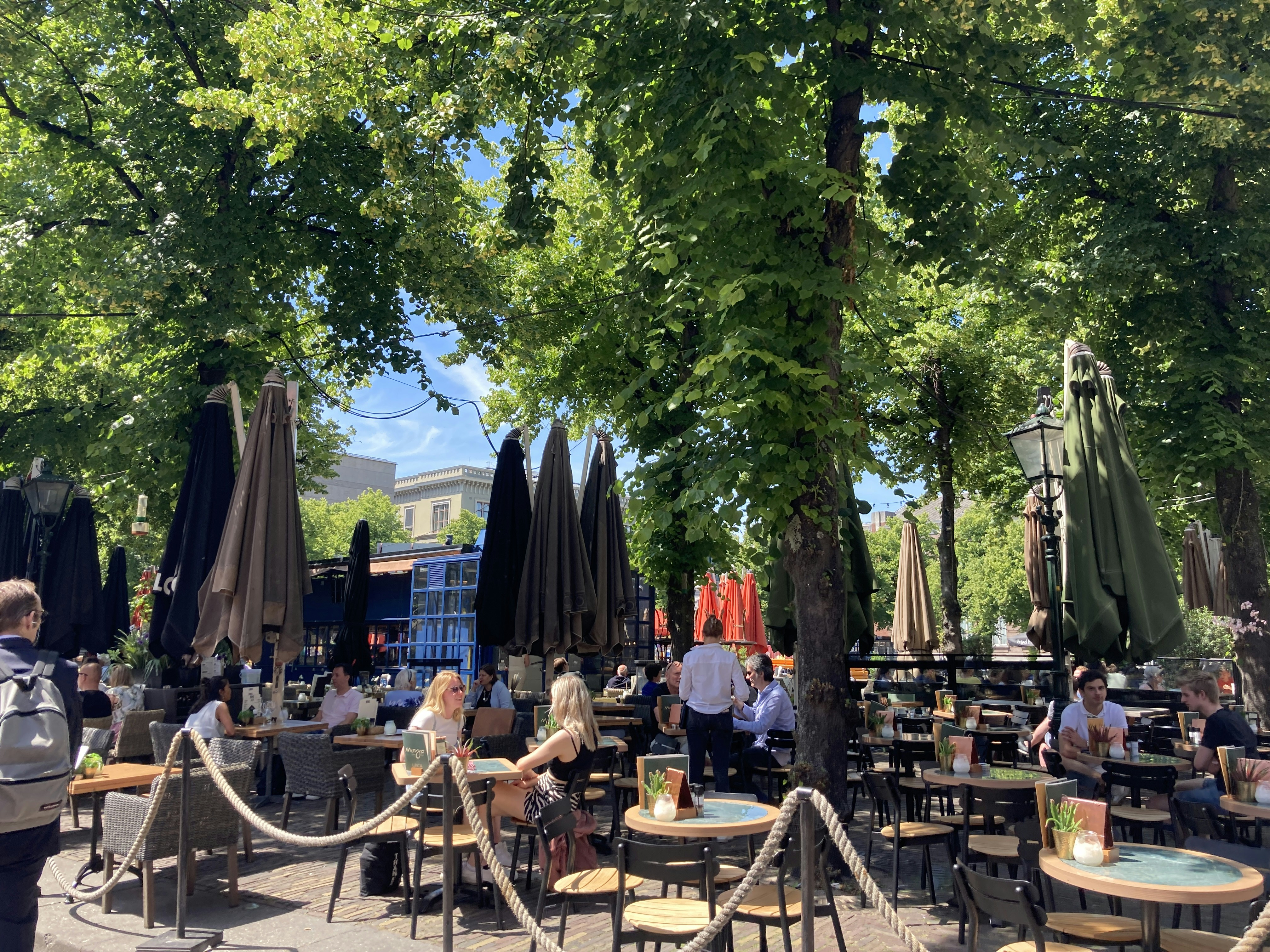 Photo by Reina Yoshida with Apple iPhone SE