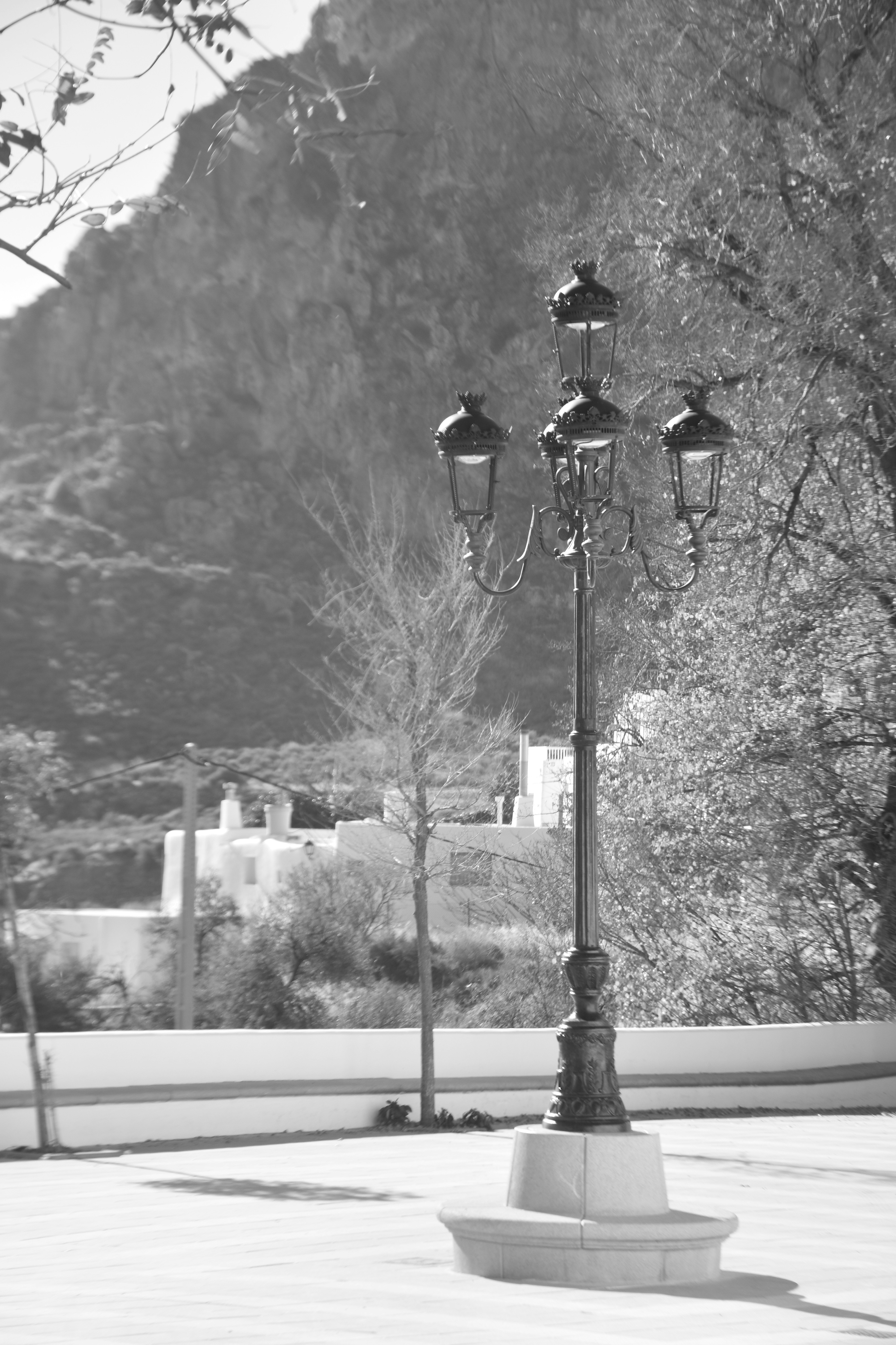 Lamppost Reverie: a silent promenade in grayscale