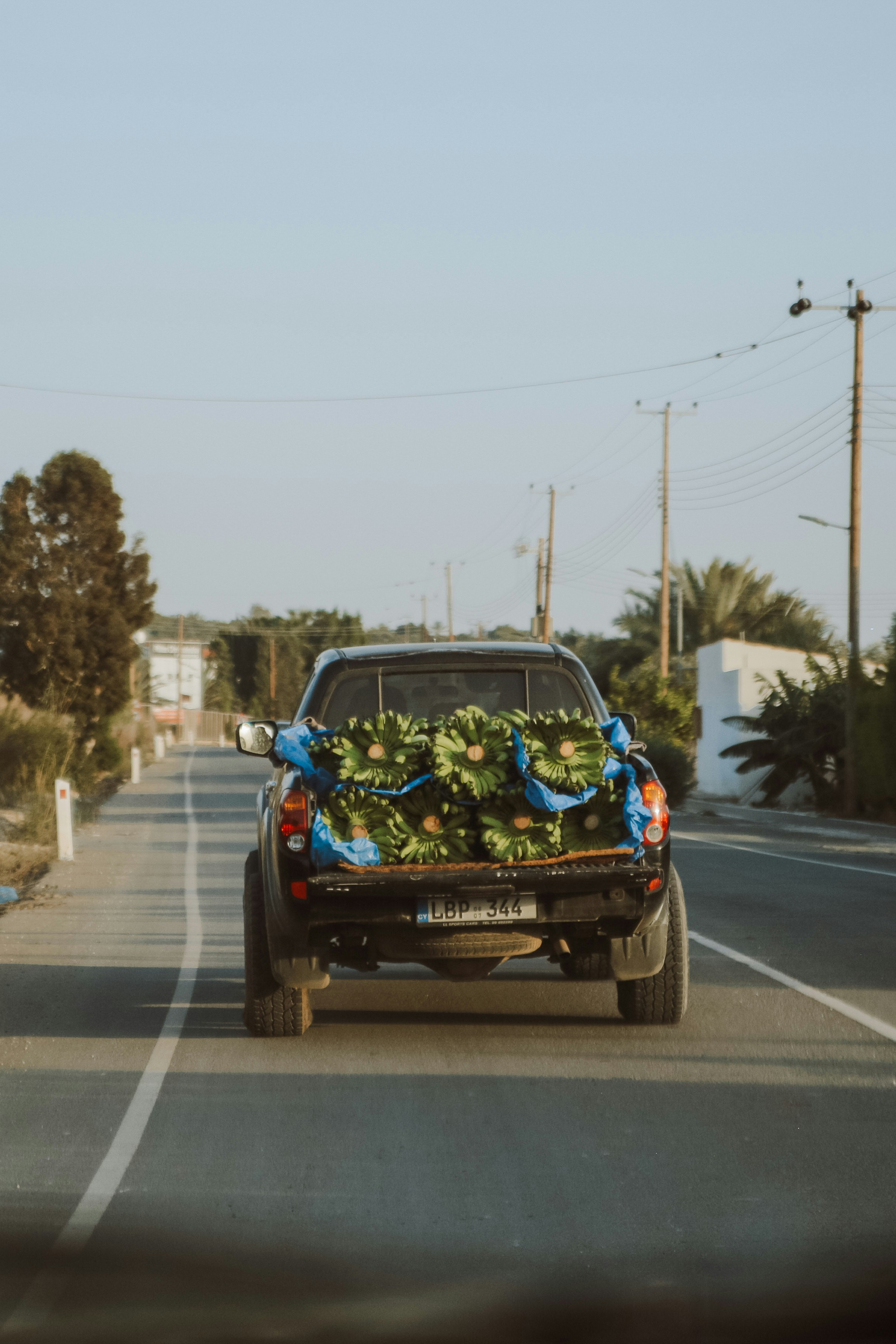 Photo by Ray Albrow with Canon EOS 6D