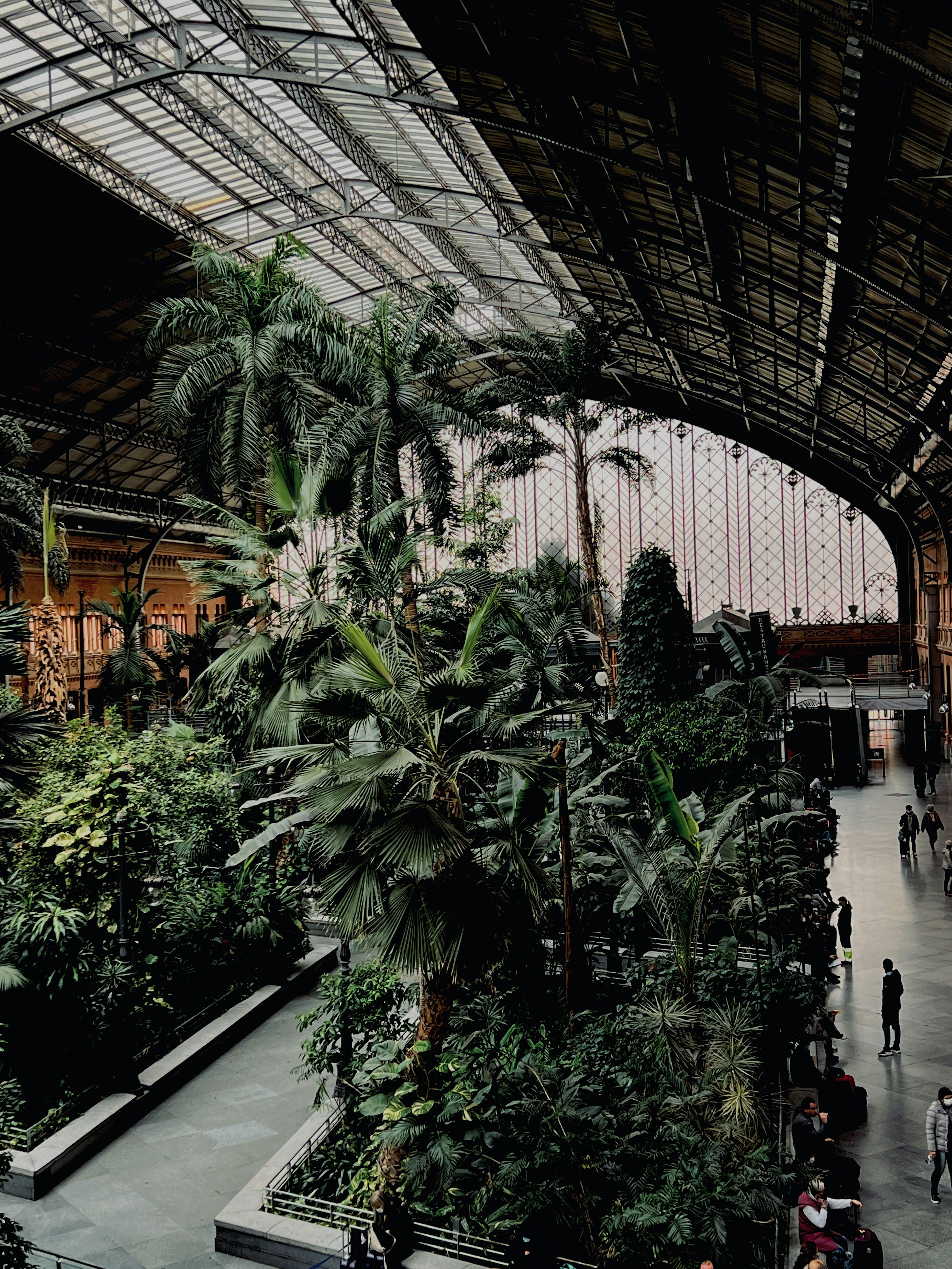 Verdant Atrium: A Palm-Lined Confluence under a Vaulted Glass Roof