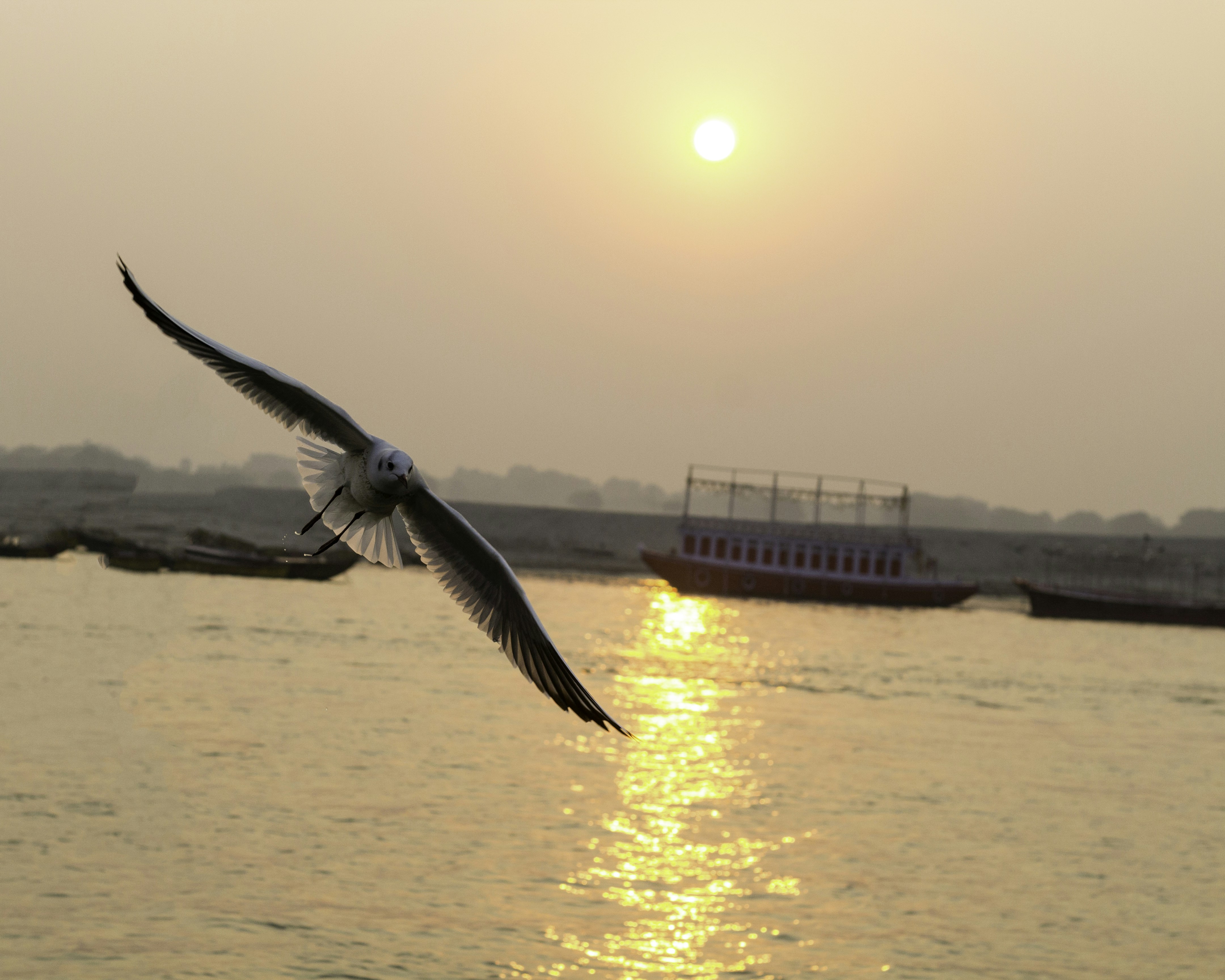 Photo by Aditya Bharadwaj with Canon EOS 1200D