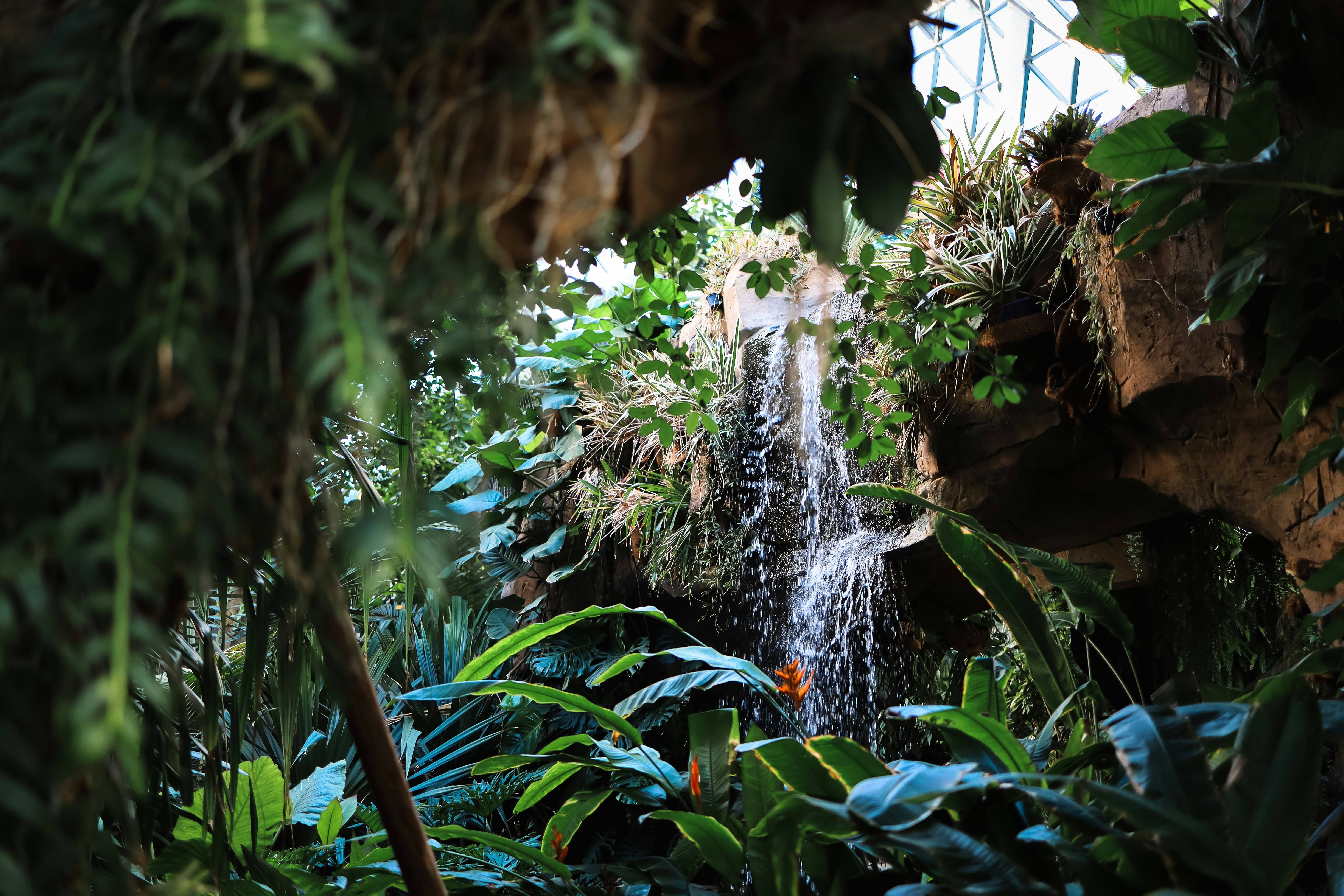 Waterfall cascading through lush greenery in a sunlit botanical garden.
