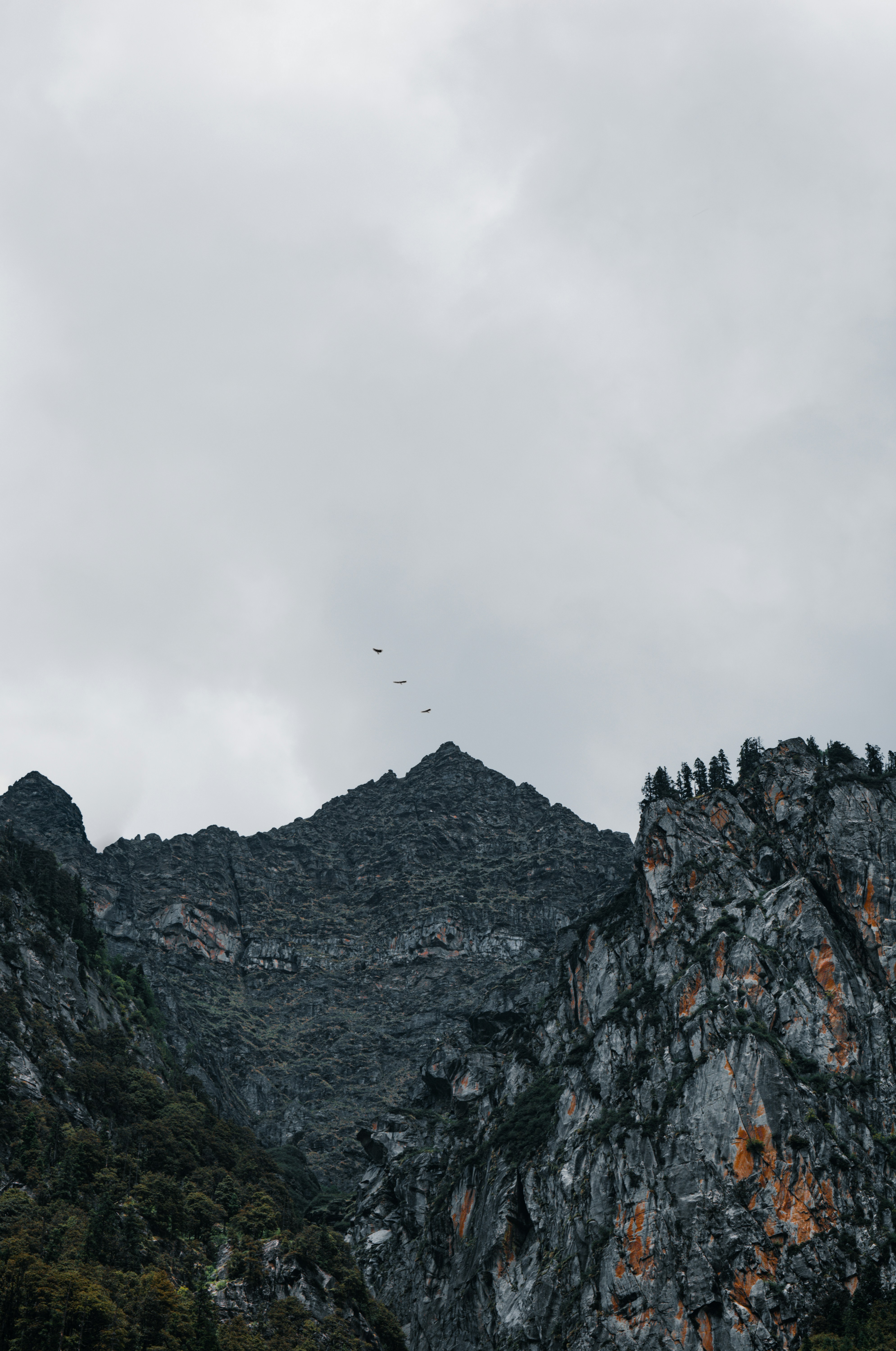 Ridge Line Flight: Birds Above the Mountain Pass