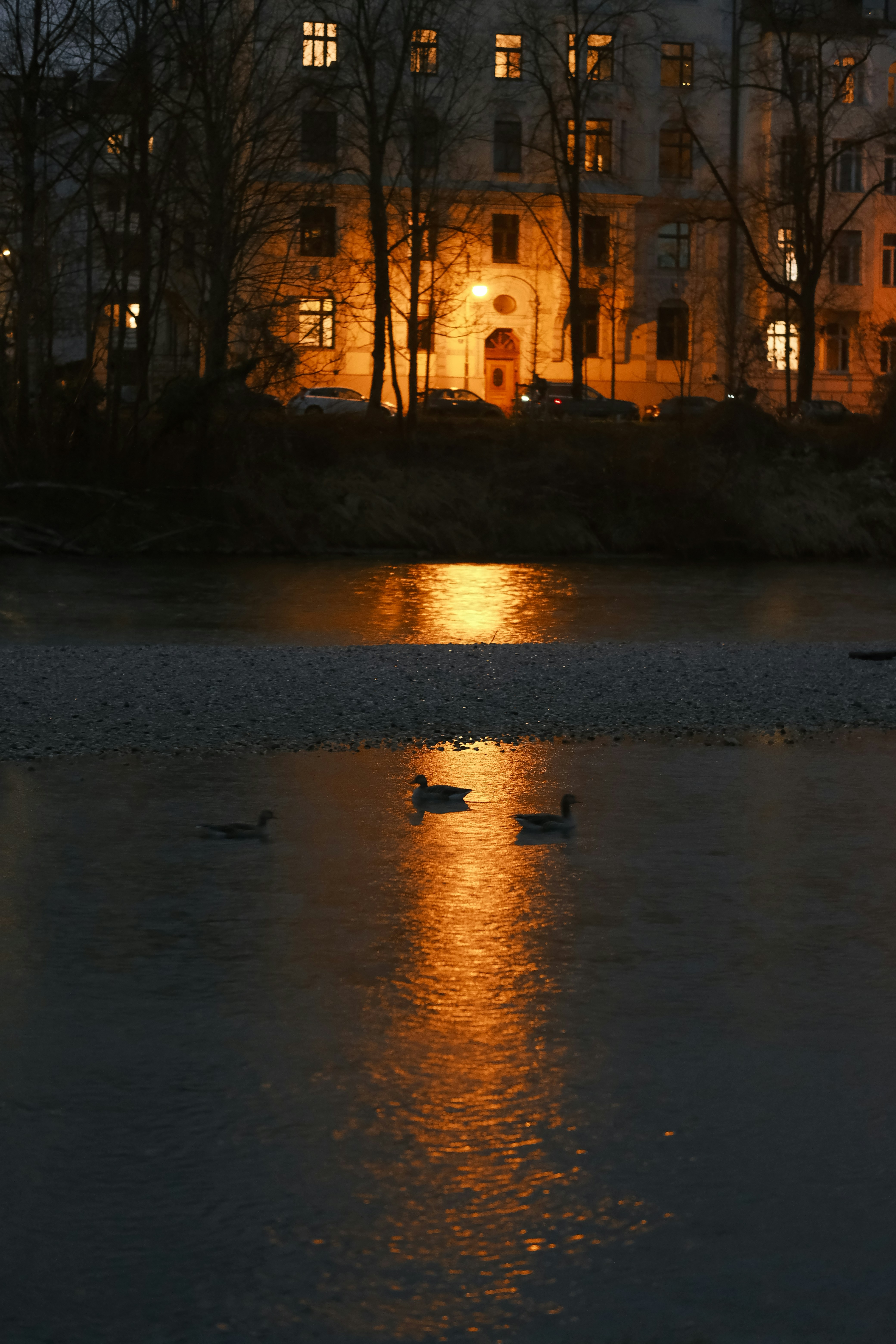 Amber Reflections: A Night by the River with Ducks and a Glowing Facade