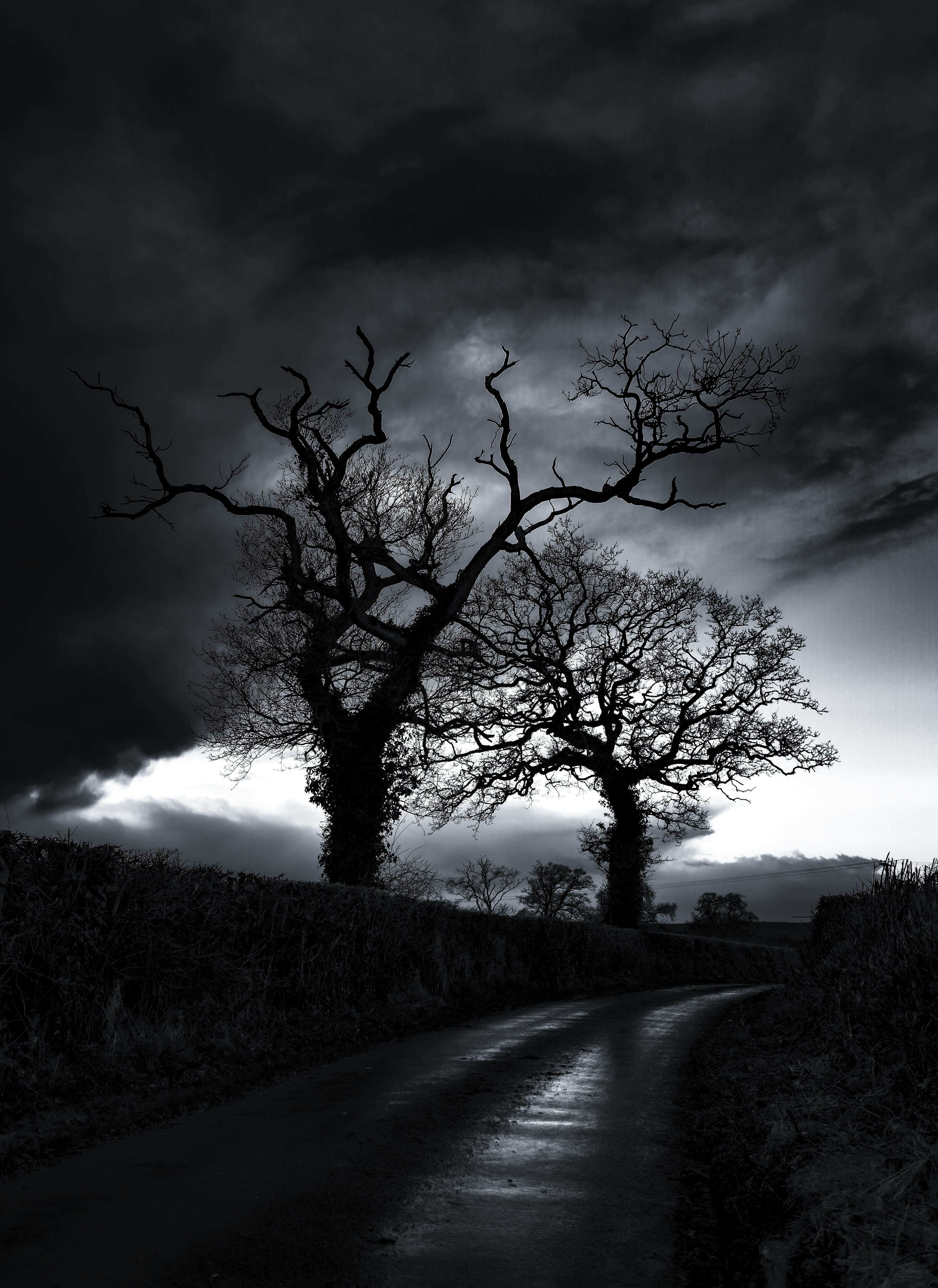Light and Life. Dark skies fighting the light on an early January morning, Devon, UK