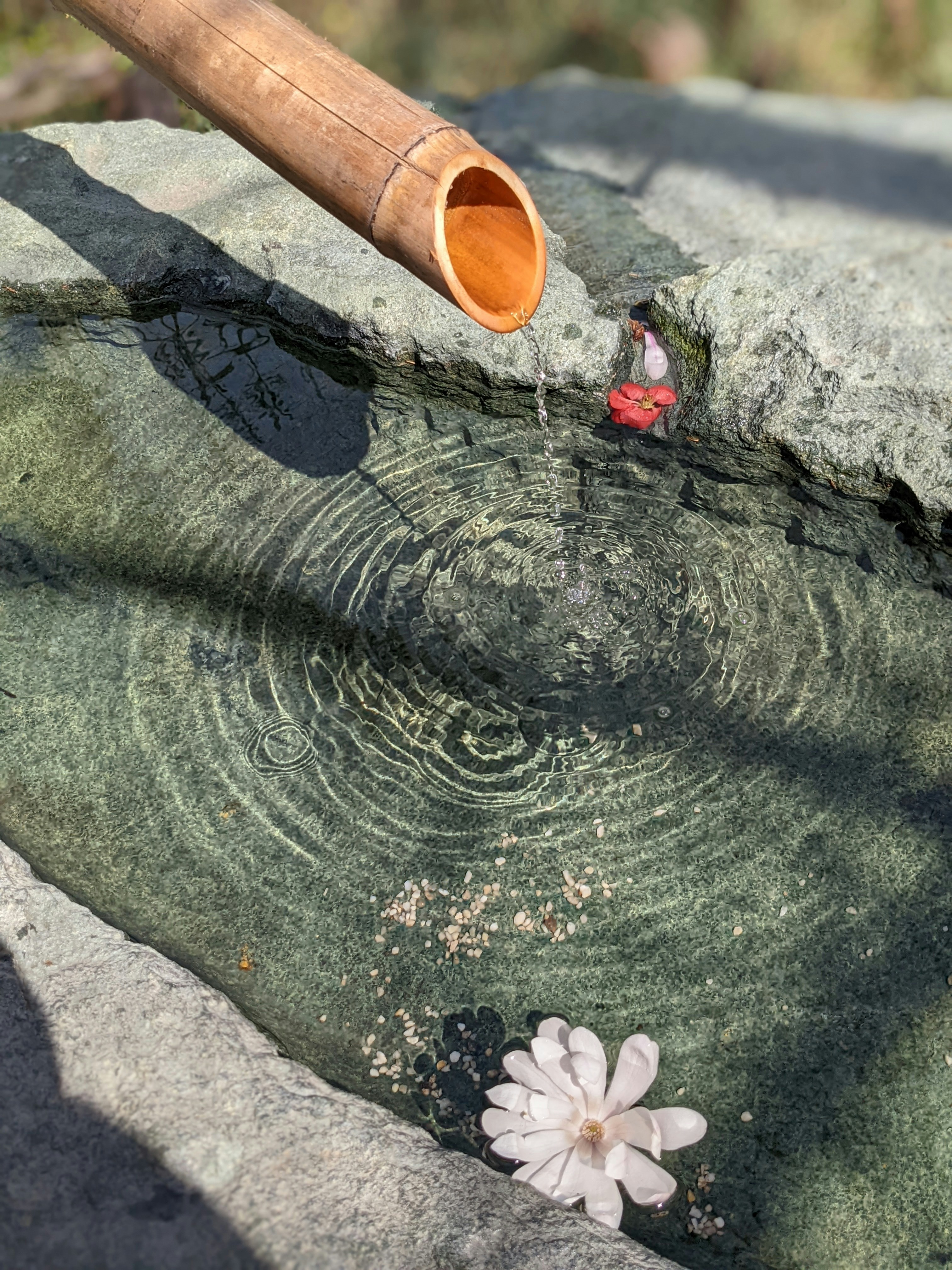 A Bamboo Spout Over a Quiet Stone Basin