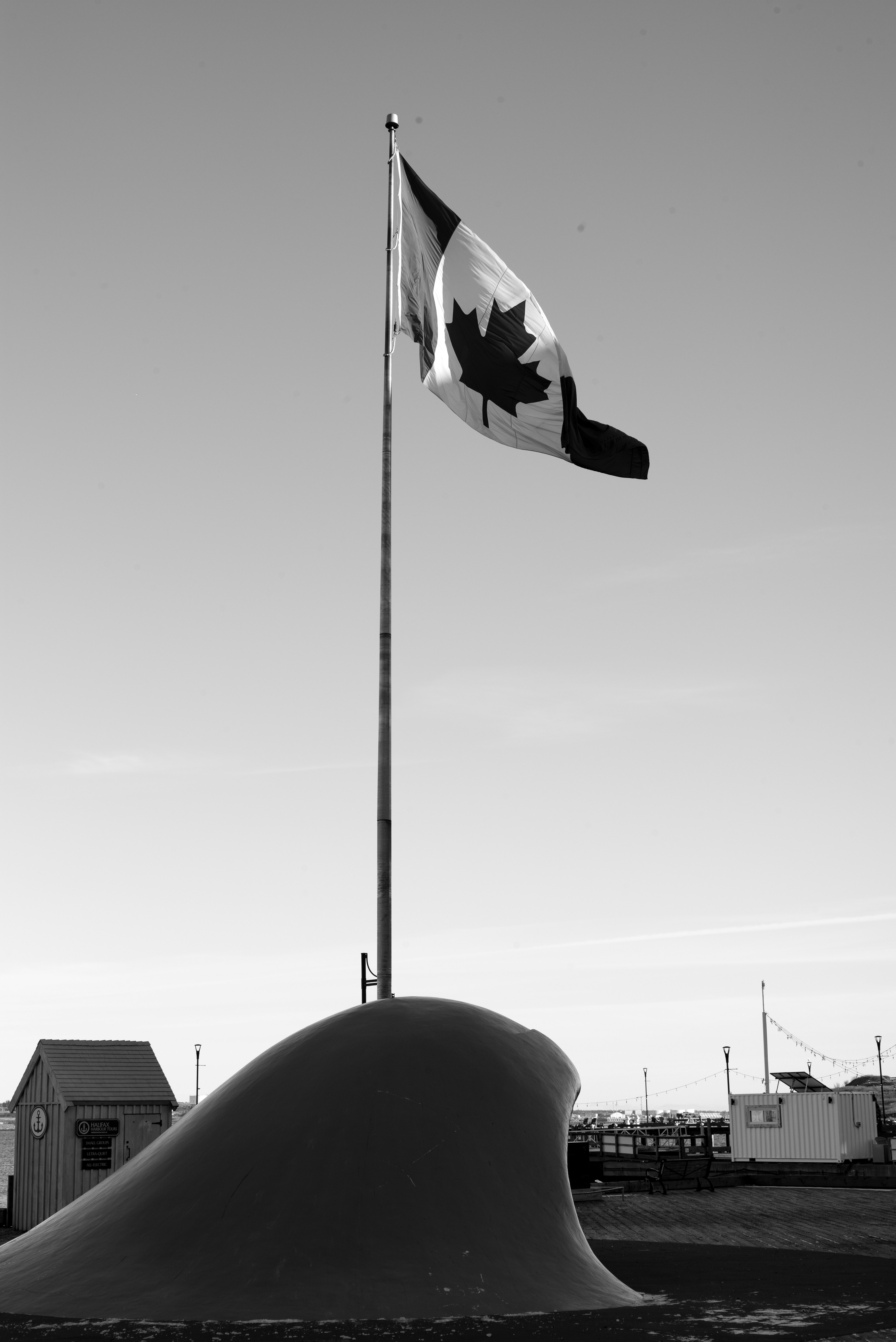 Photo by Tyler Farmer with Leica M Monochrom (Typ 246)