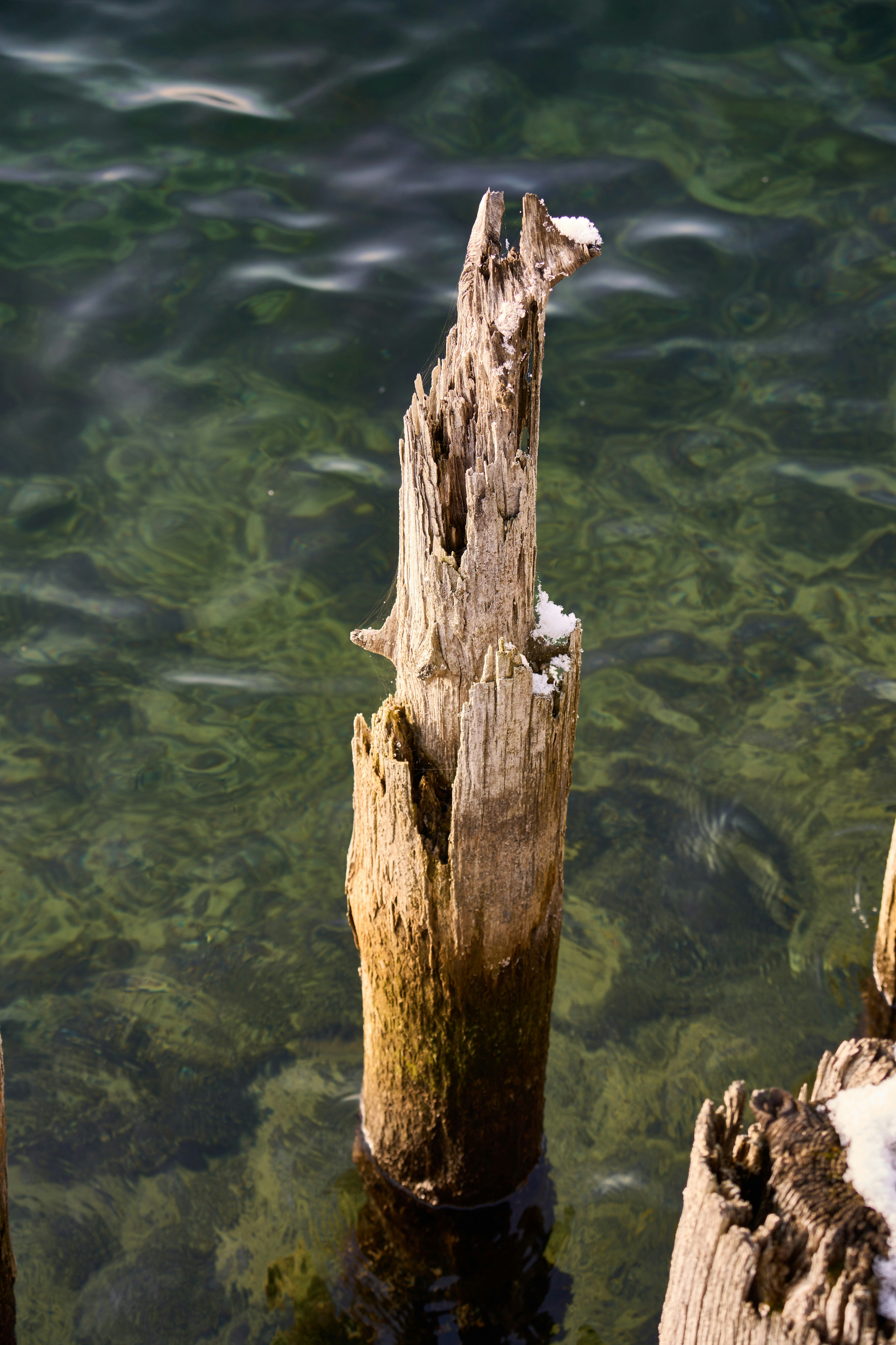Emerald Water, Weathered Sentinel: Snow-dusted Post Rises from Quiet Lake