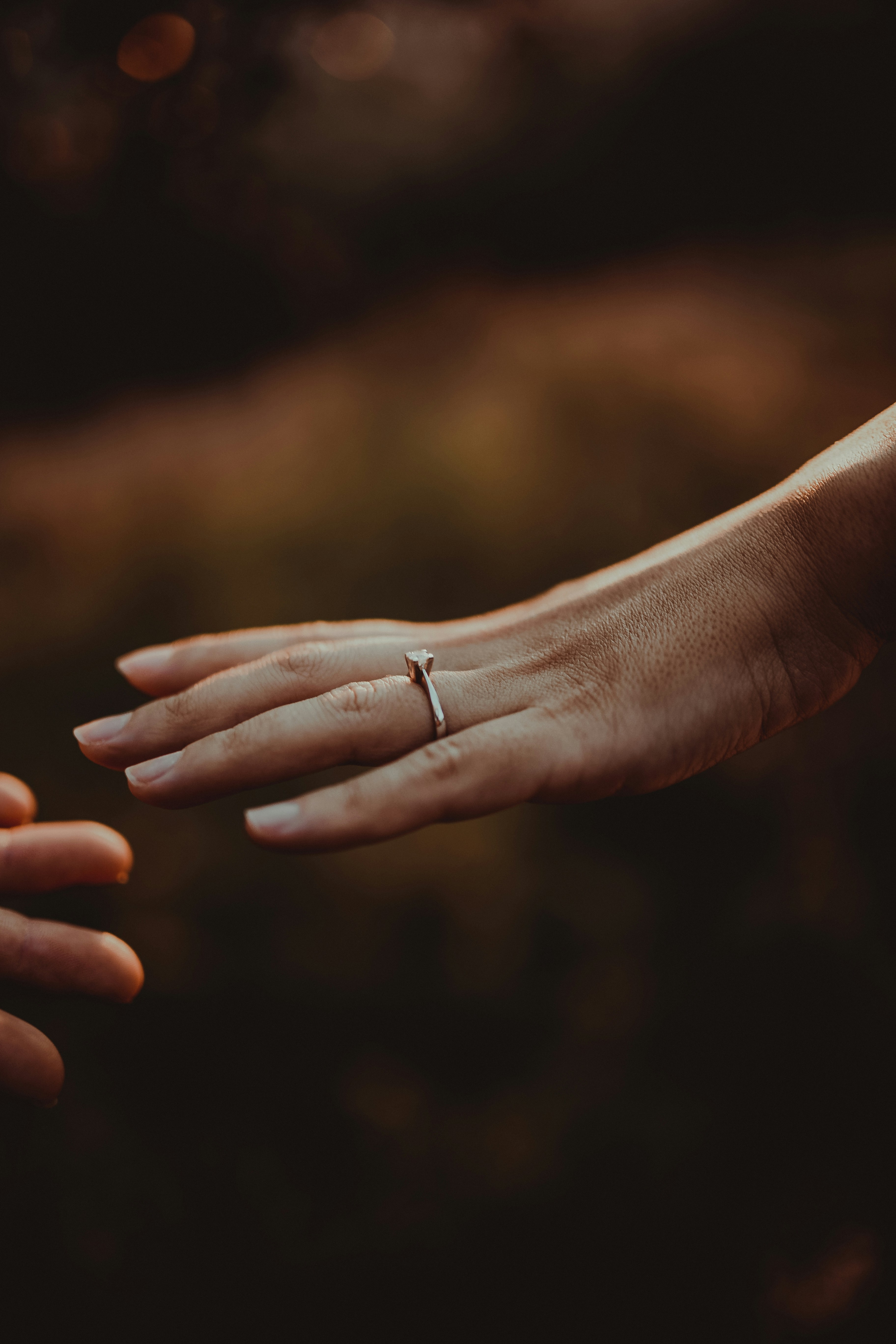 Two hands reaching out towards each other photo – Free Wedding Image on ...
