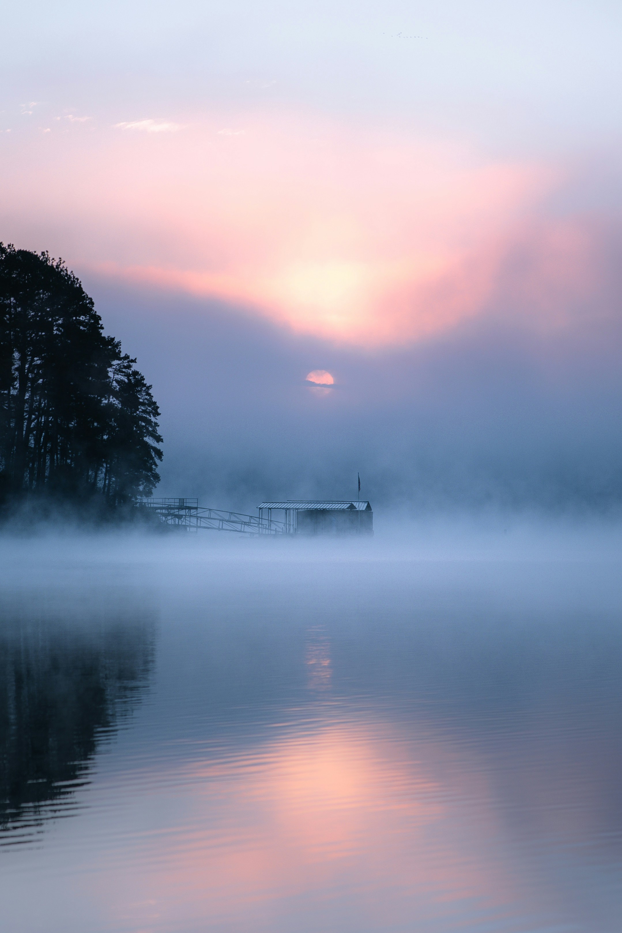 Dawn's Velvet Haze: Fog, Pines, and a Pier on Quiet Lake