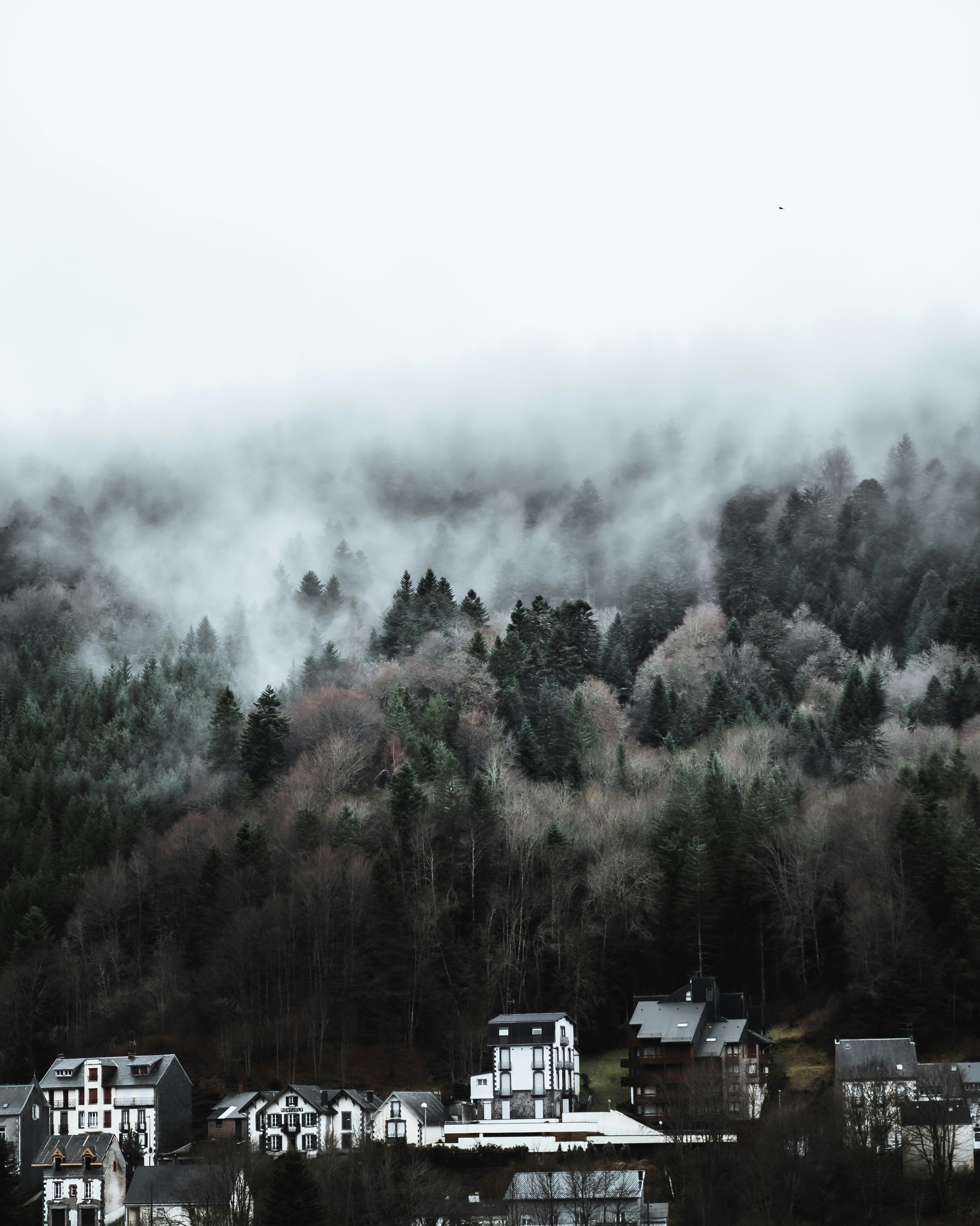 Photo by Adrien Brun with Sony Alpha 7 III