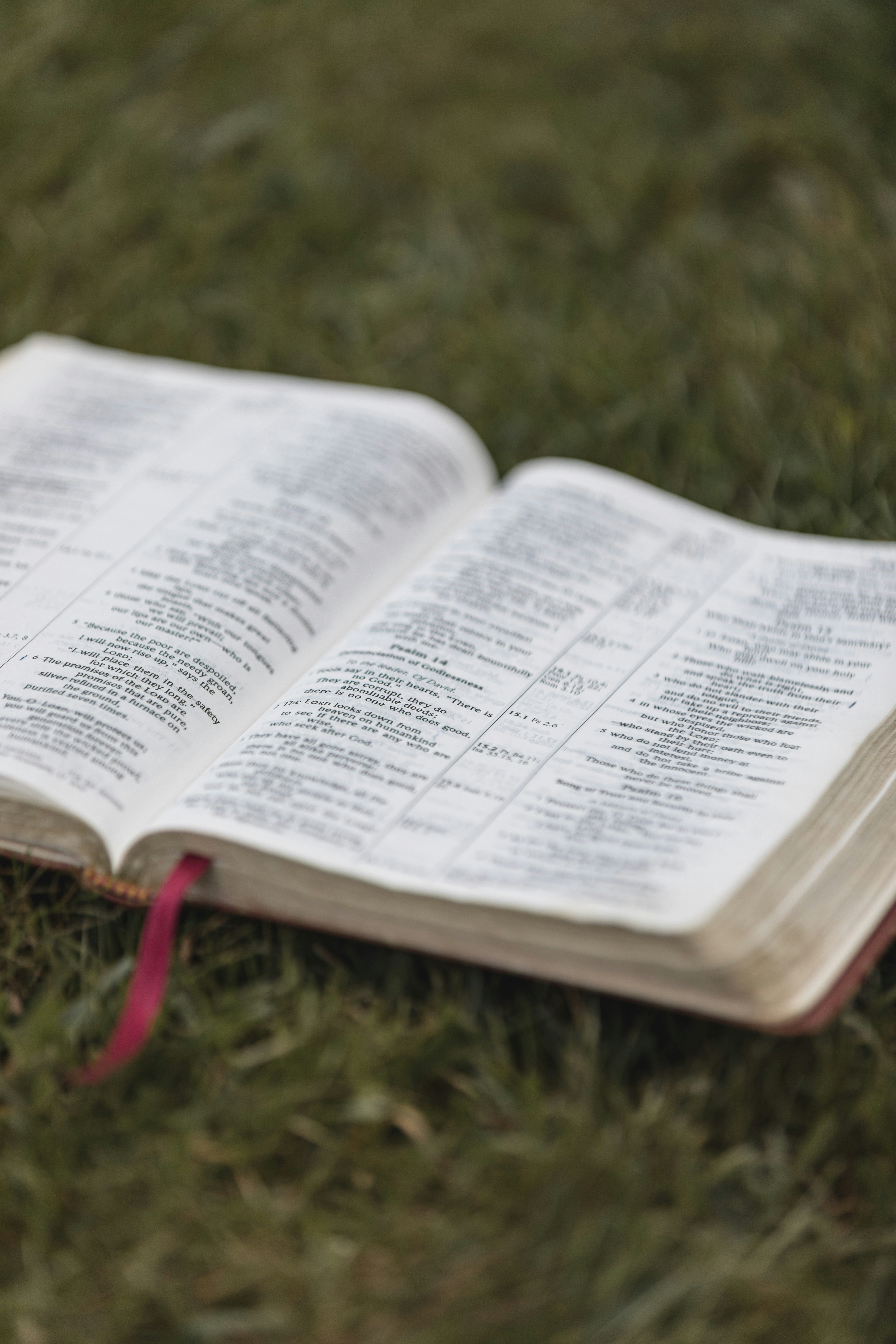 An open bible laying on the ground photo – Free Image on Unsplash
