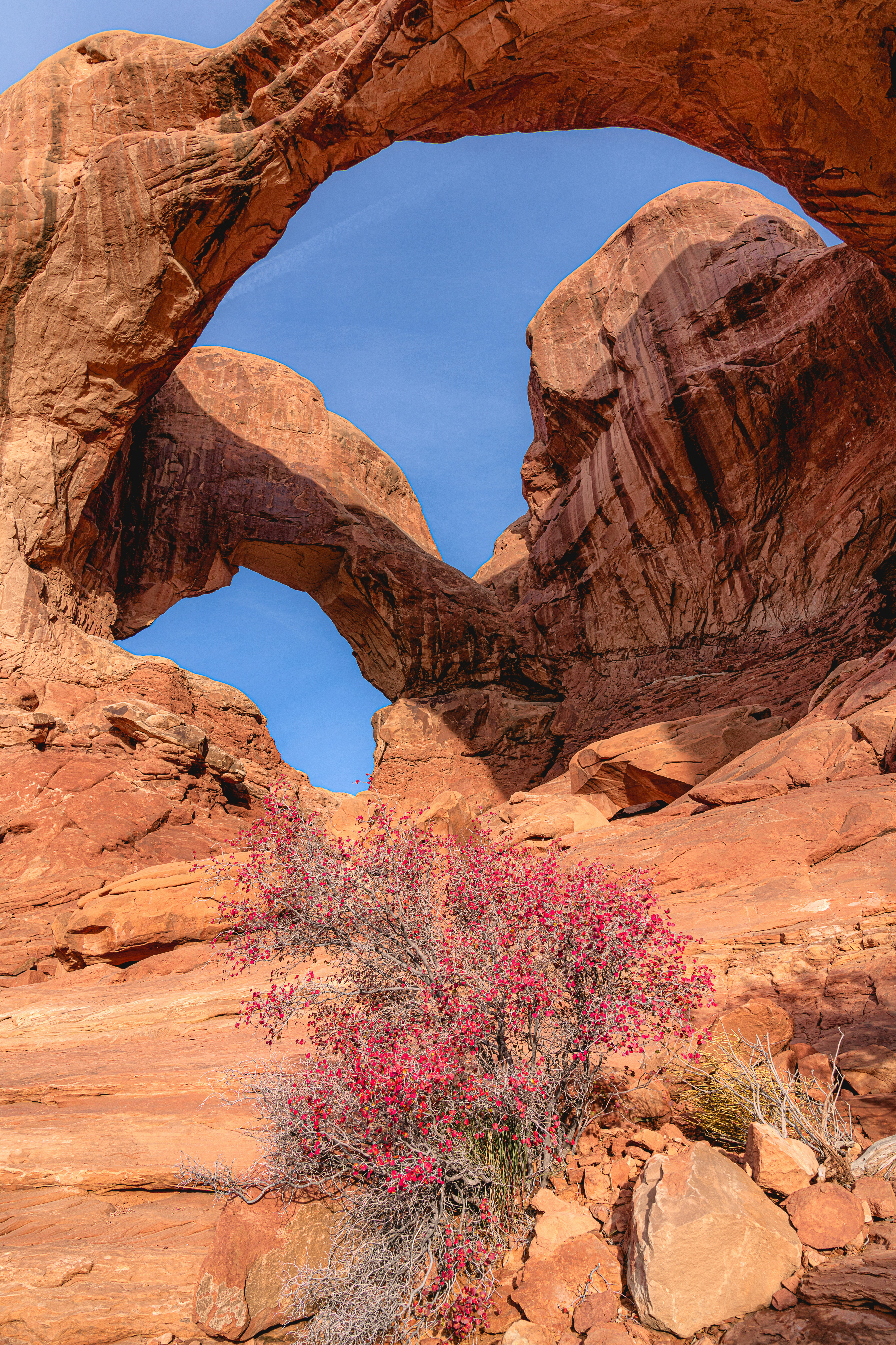 Photo by Karthik Sreenivas with Sony Alpha 7R IV