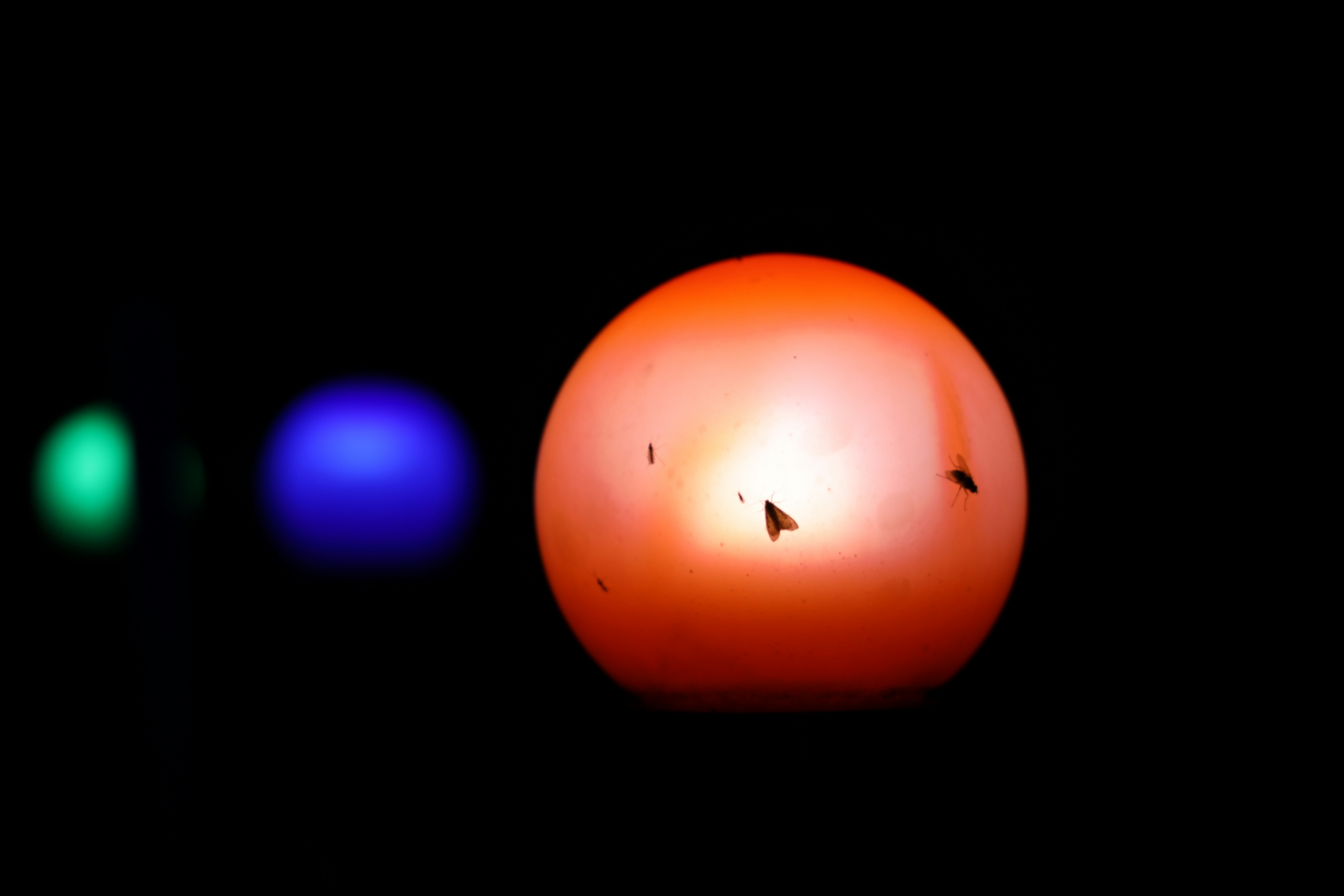 a close up of three different colored balls