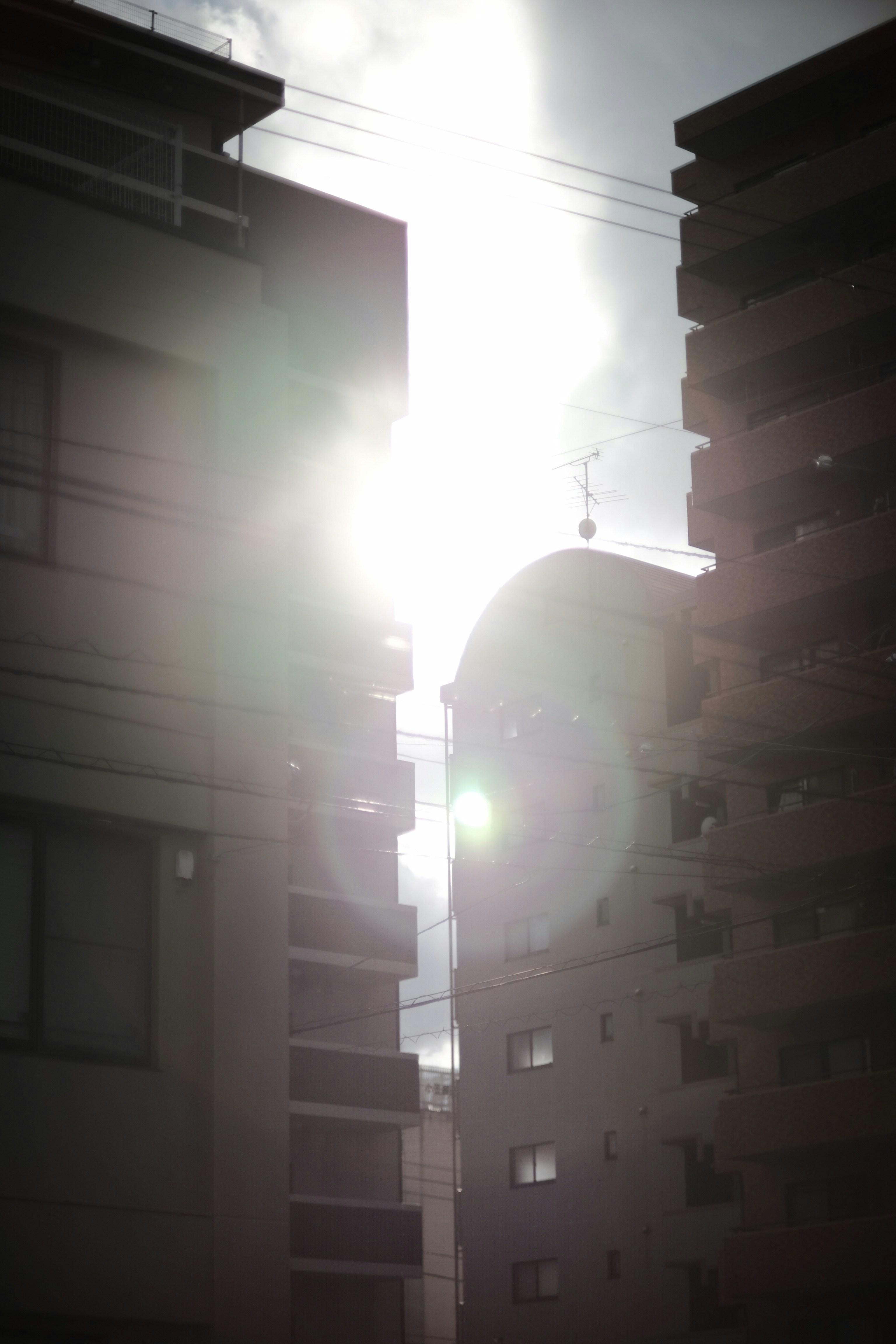 Sunburst Between Concrete Towers: Lens Flare in an Urban Canyon