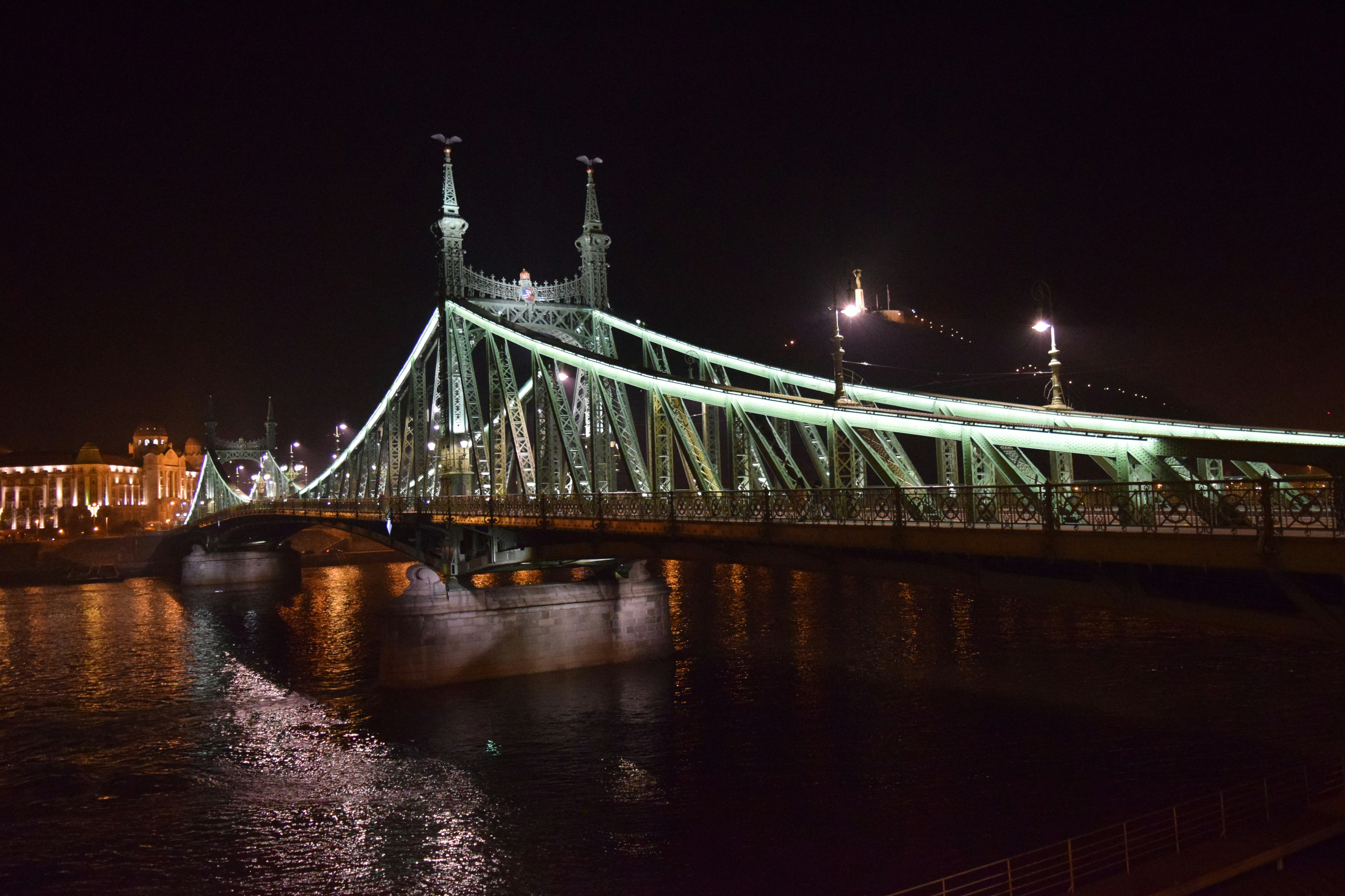 Photo by David L. Espina Rincon with Nikon D3300