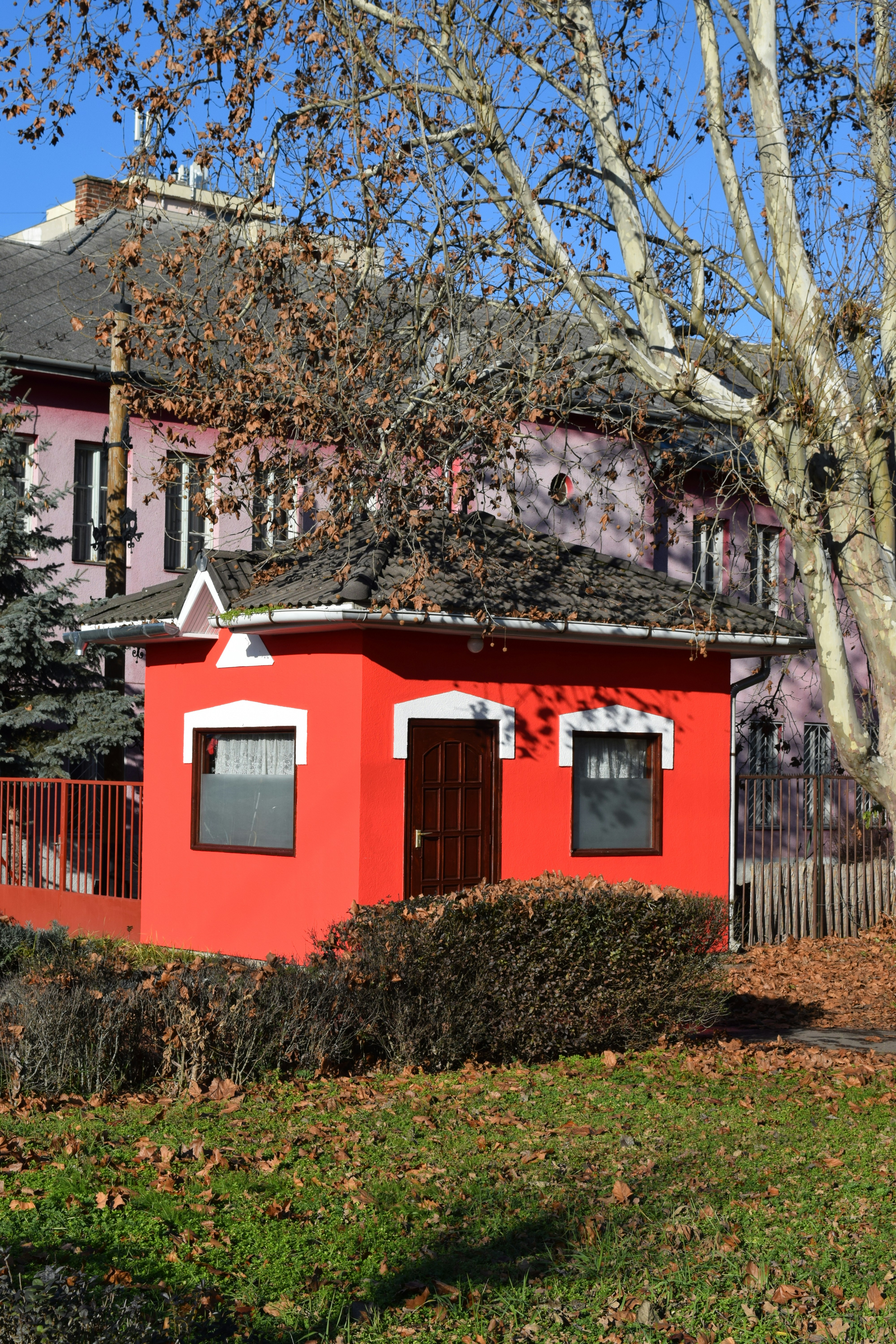 A red house with a red fence and a tree in front of it photo – Free ...