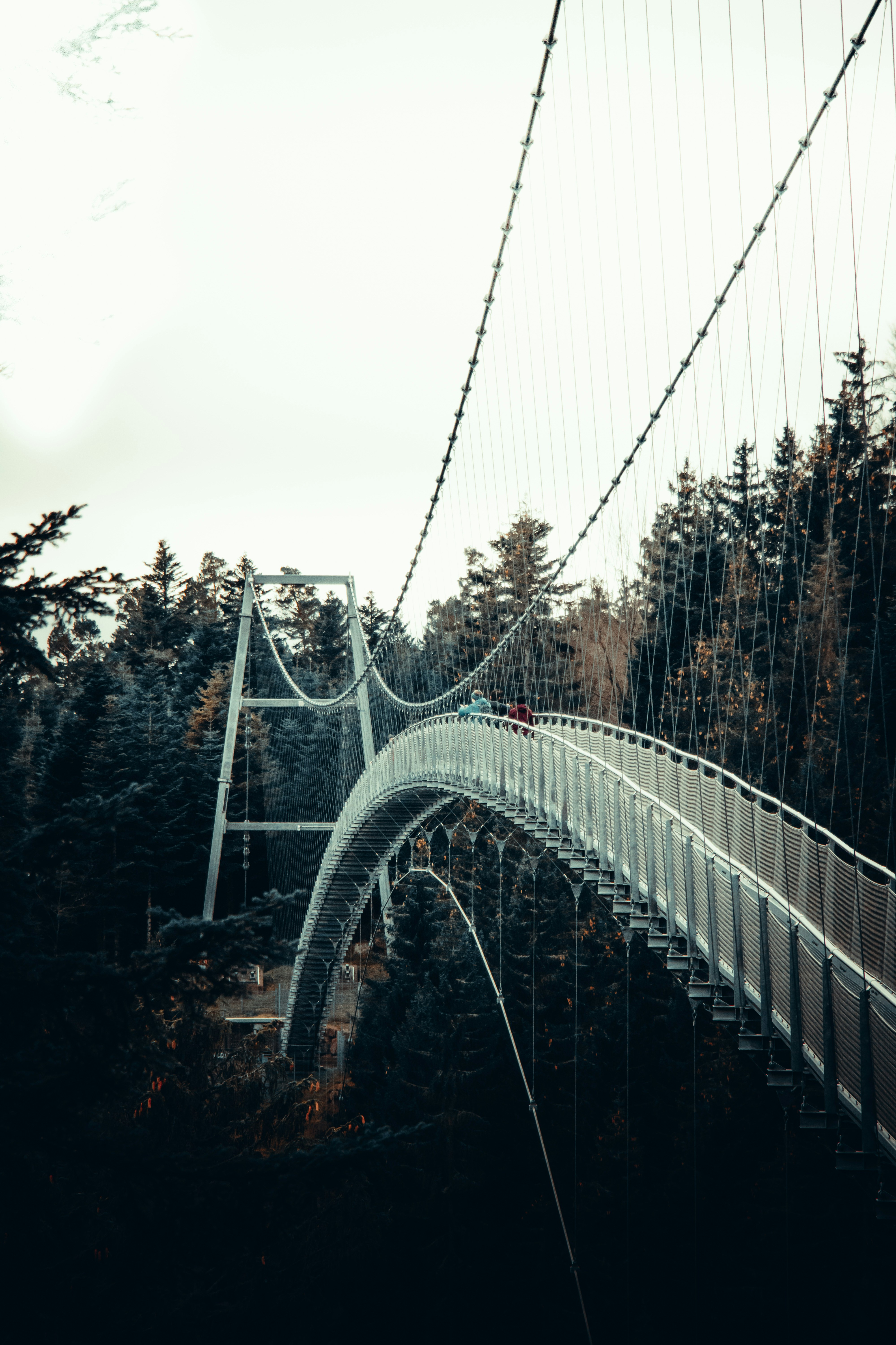 A long suspension bridge over a forest filled with trees photo – Free ...