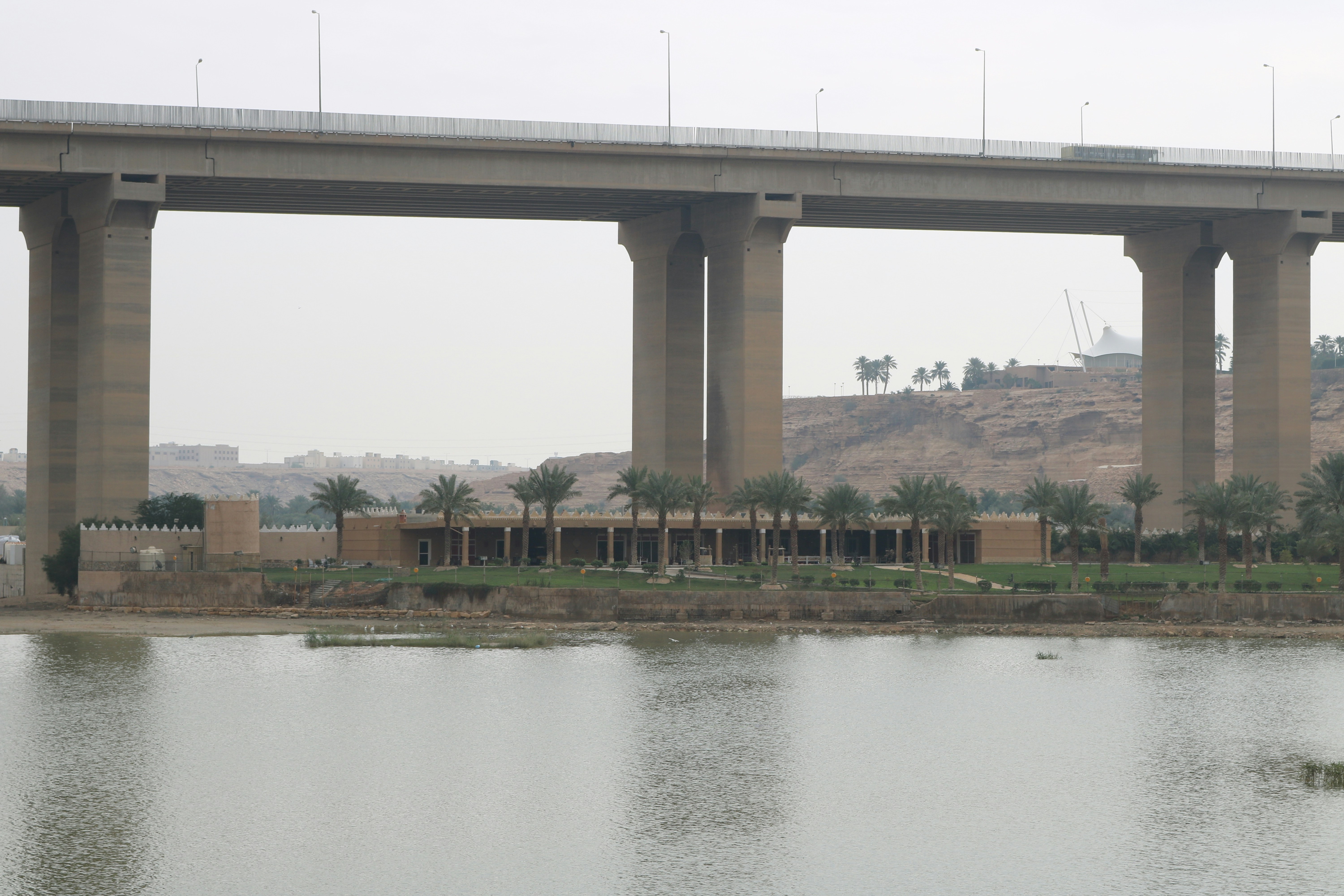 Modern structure nestled under a massive bridge, with palm trees lining the water's edge, showcasing a blend of nature and engineering.