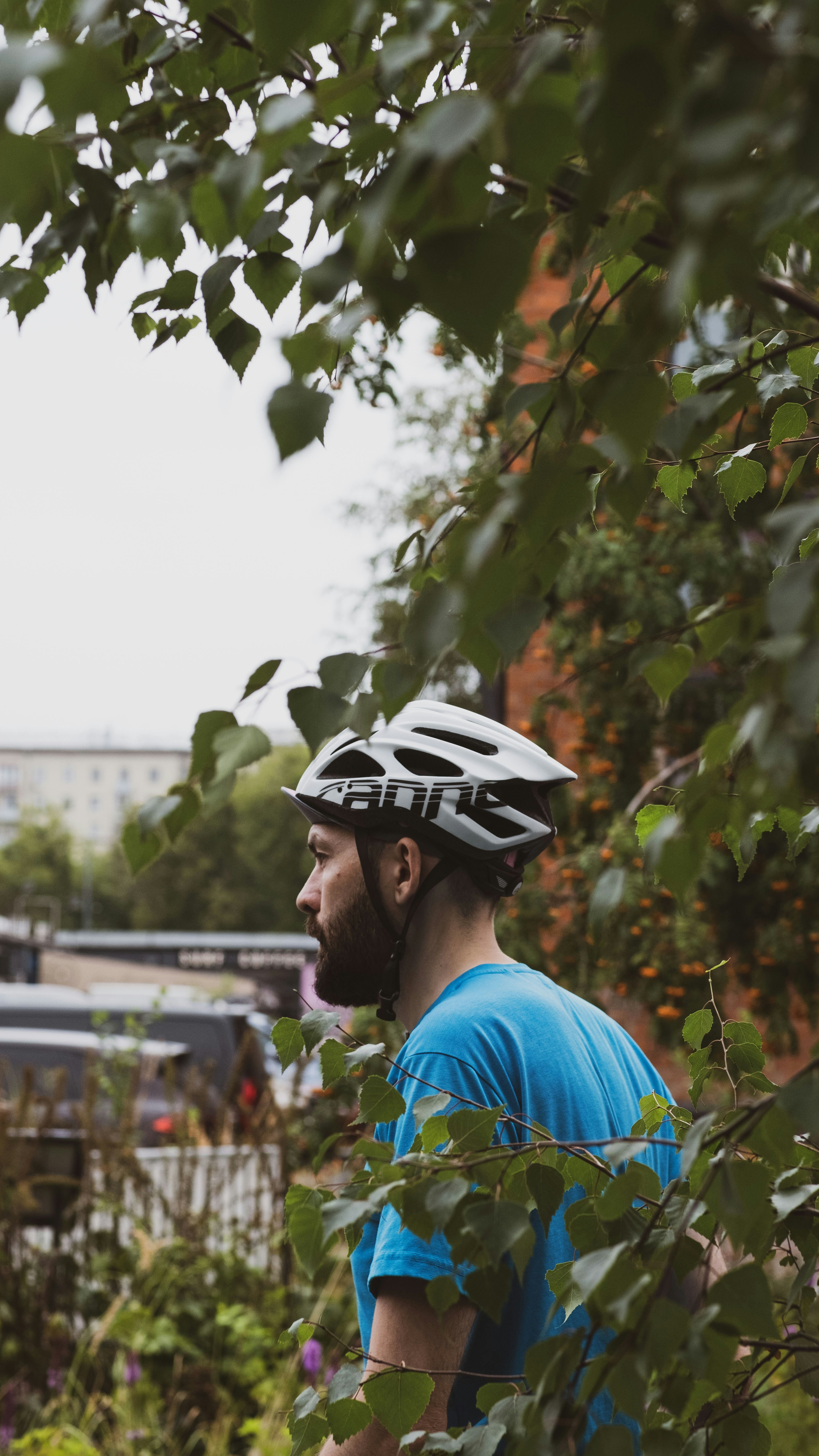 Cyclist in the Frame: A Quiet Moment Beneath the Leaves