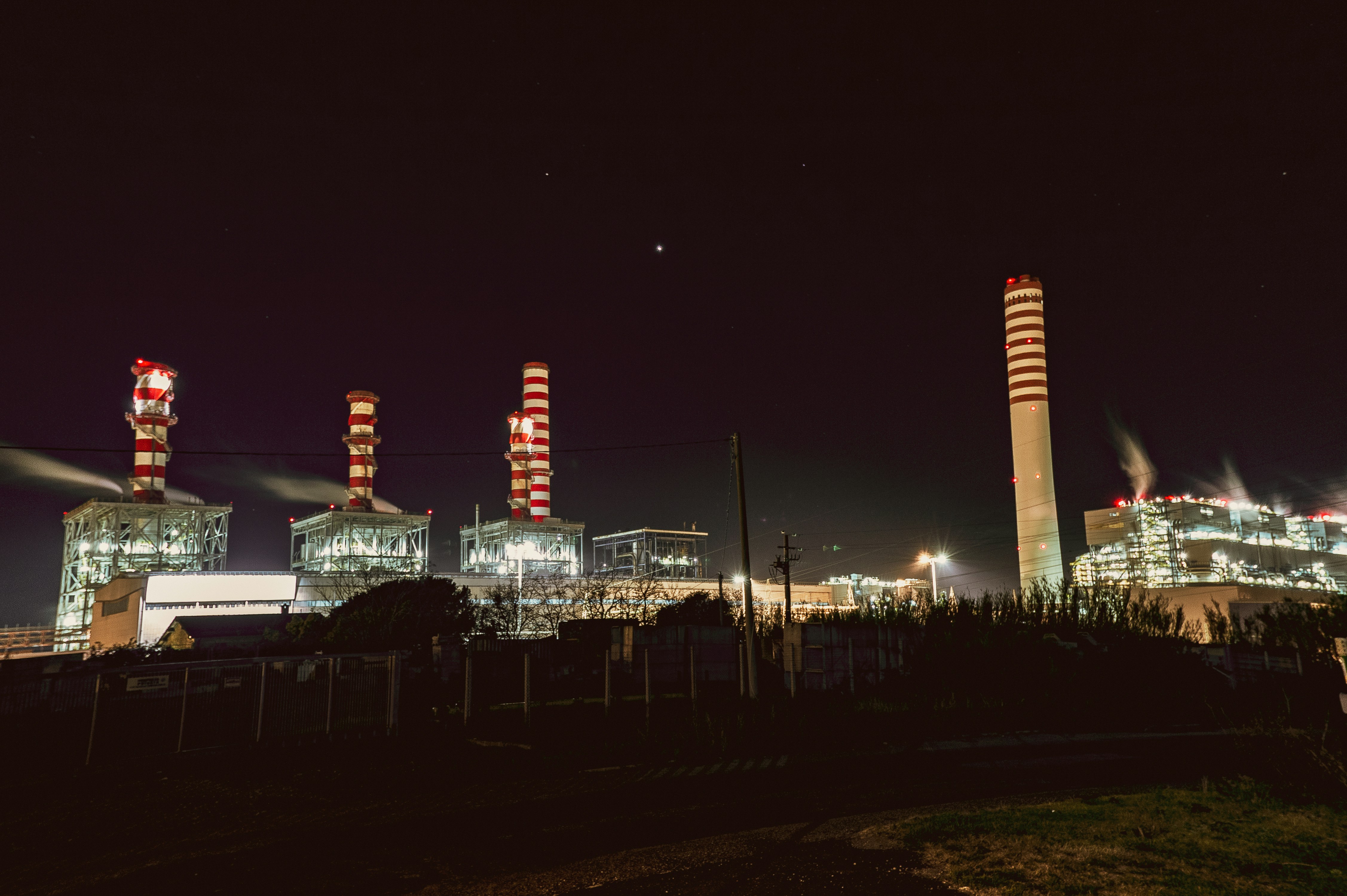 Photo by Alessandra Verre with Canon EOS 7D Mark II