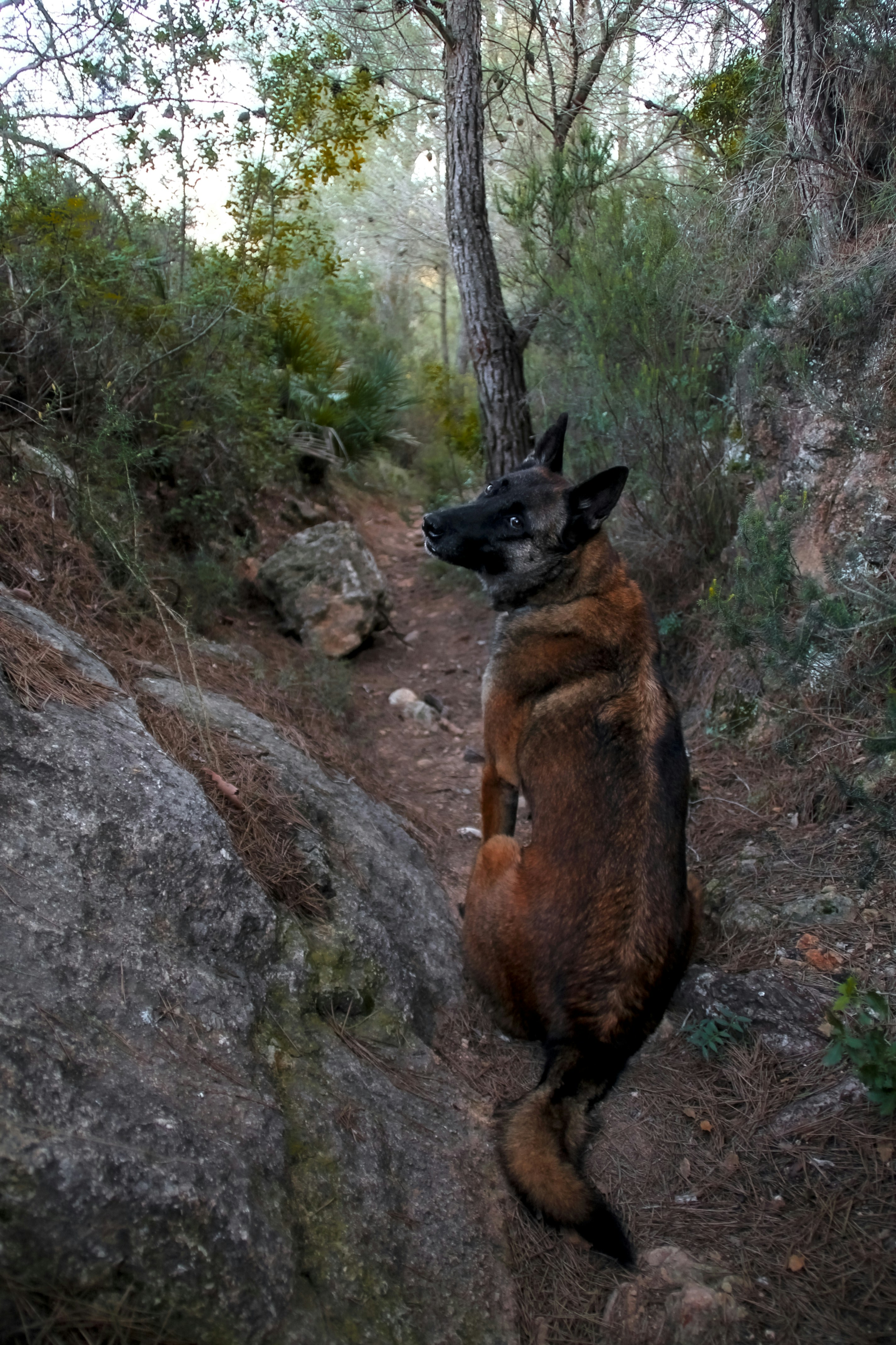 Share adventures with your best friend! @insta_roll_photography