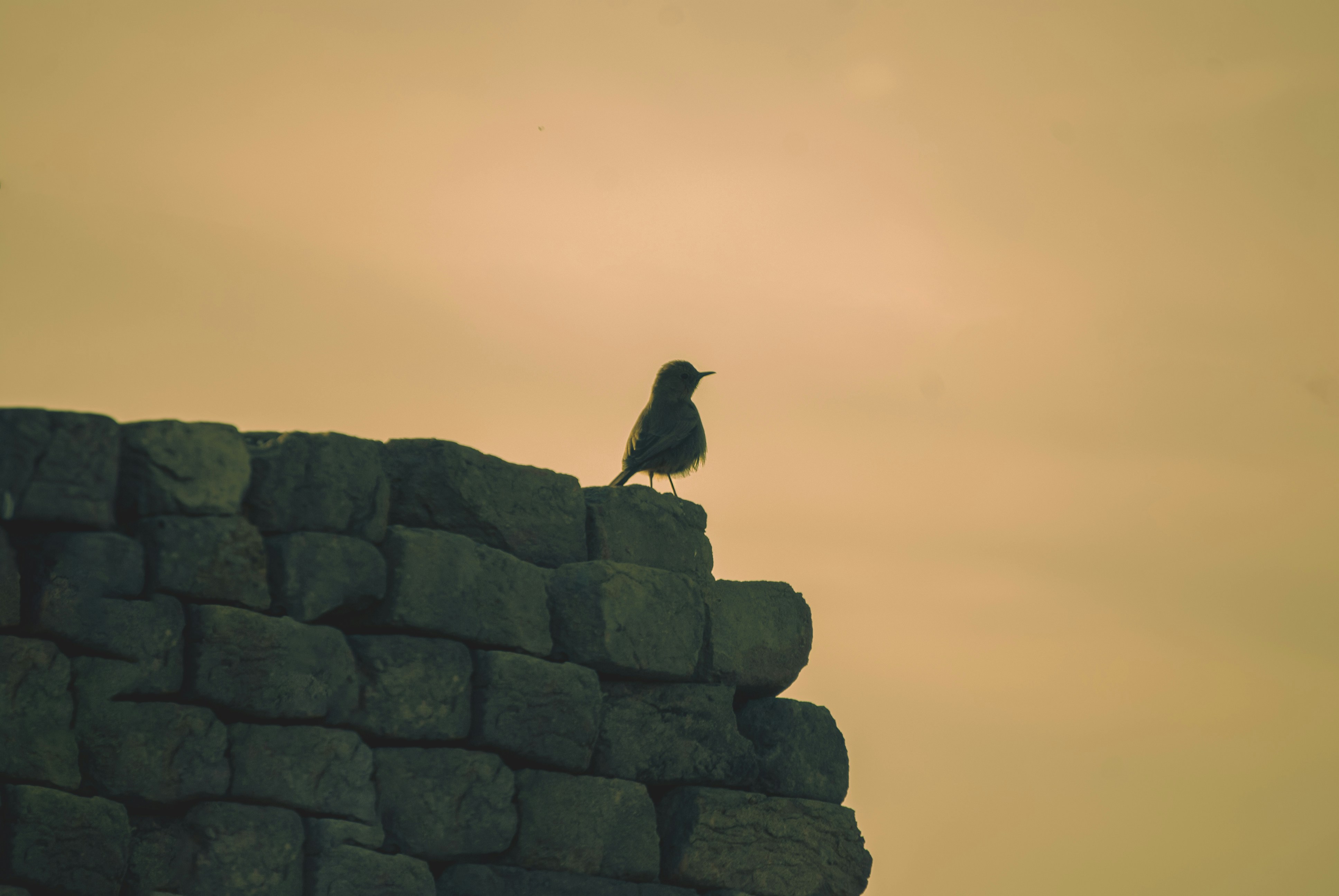 Perch at Dusk: A lone bird crowns a weathered masonry beneath amber skies
