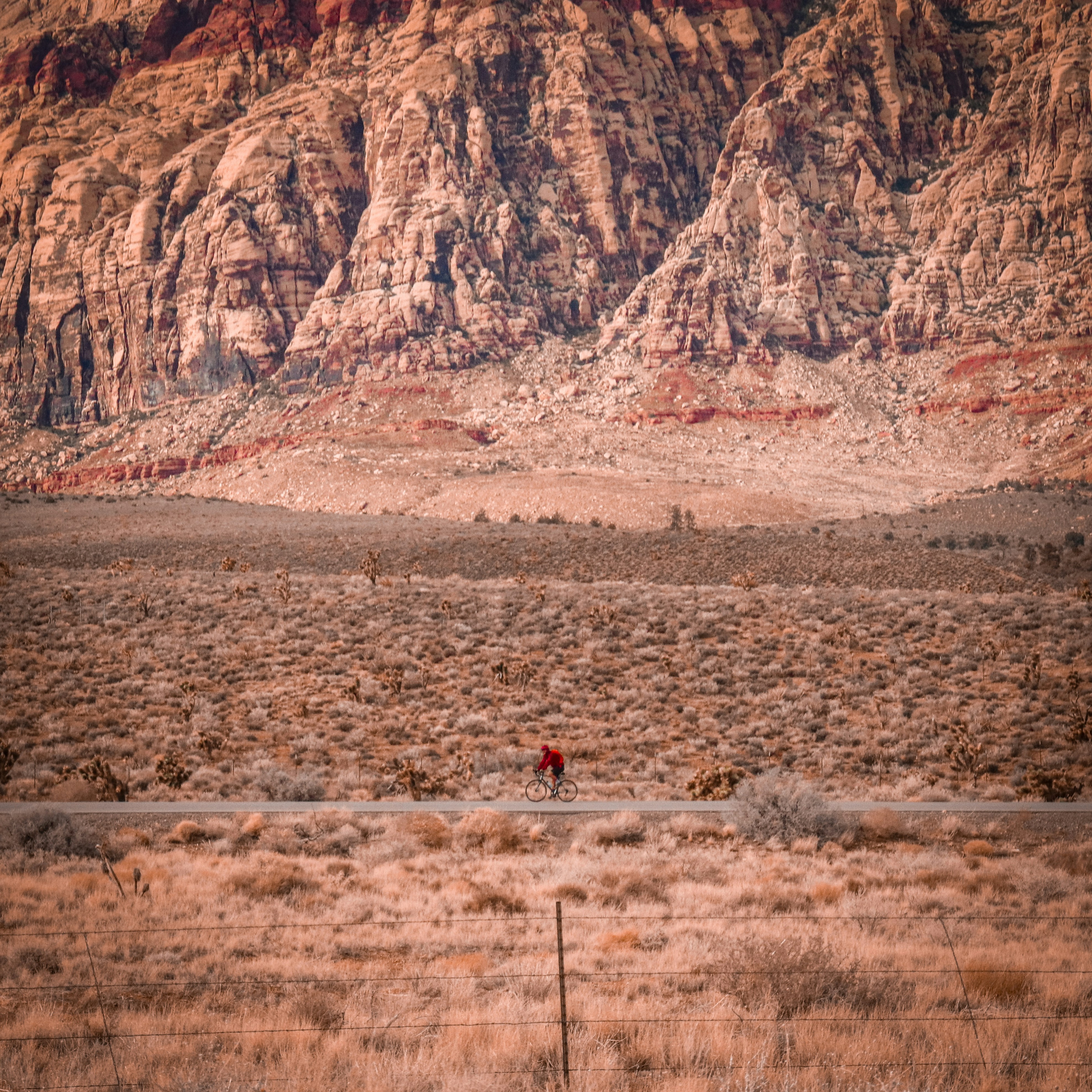 Road cycler on Red Rock Canyon | a lone horse standing in the middle of a desert