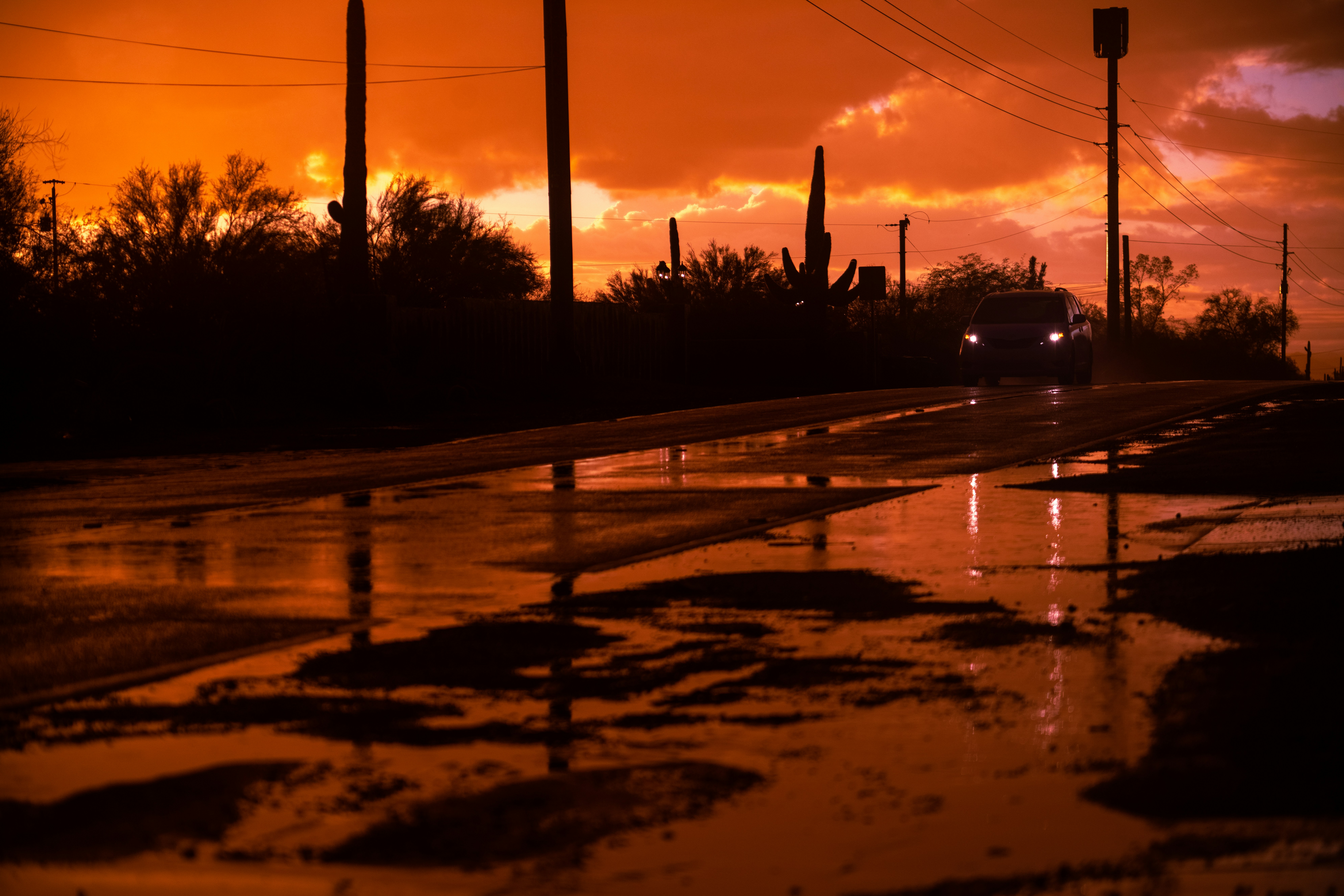Desert Road at Dusk: A Glowing Horizon Reflects in Rain-soaked Asphalt