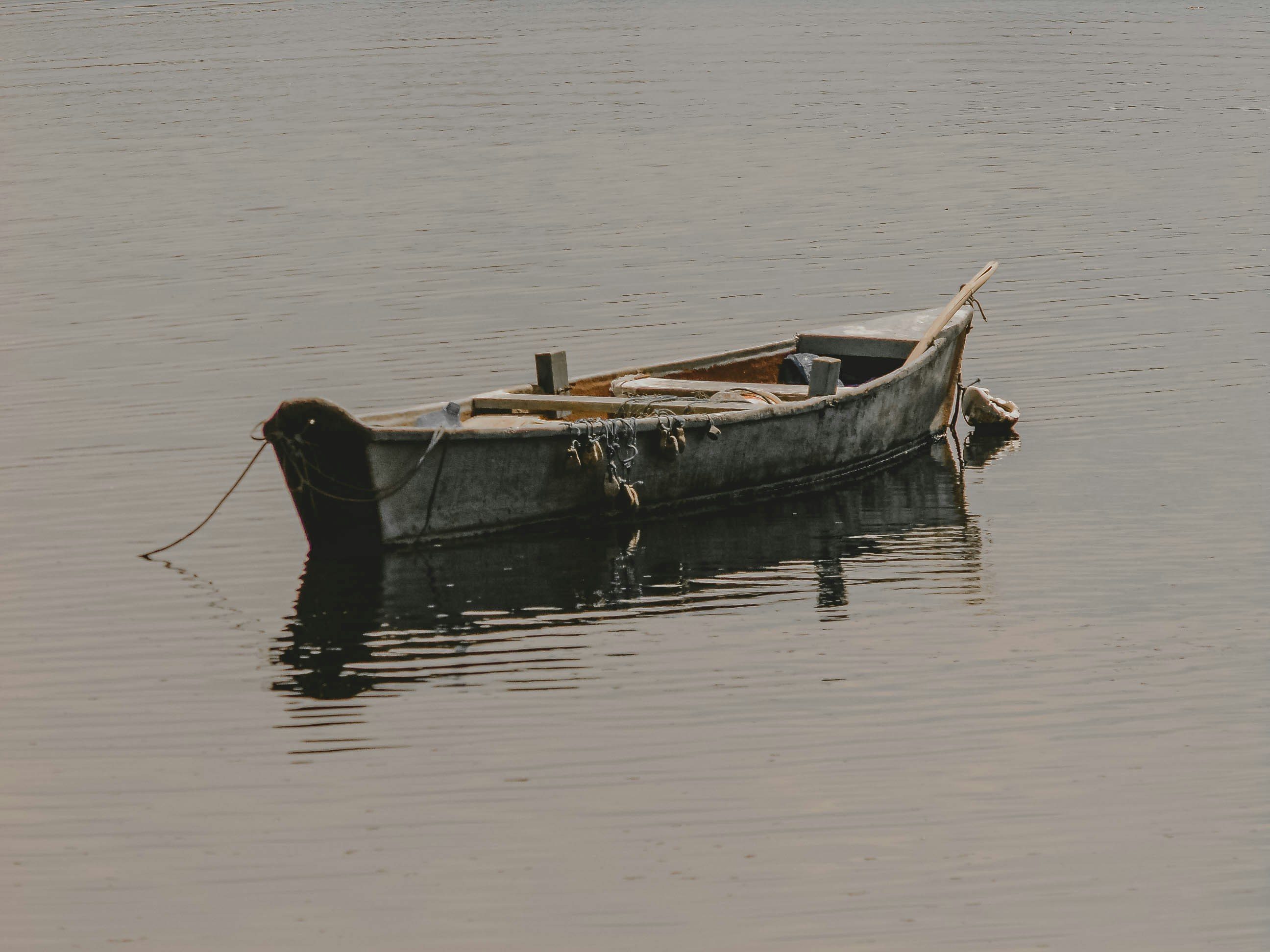 Rio de Janeiro, Ilha do Governador 2022 | a small boat floating on top of a lake