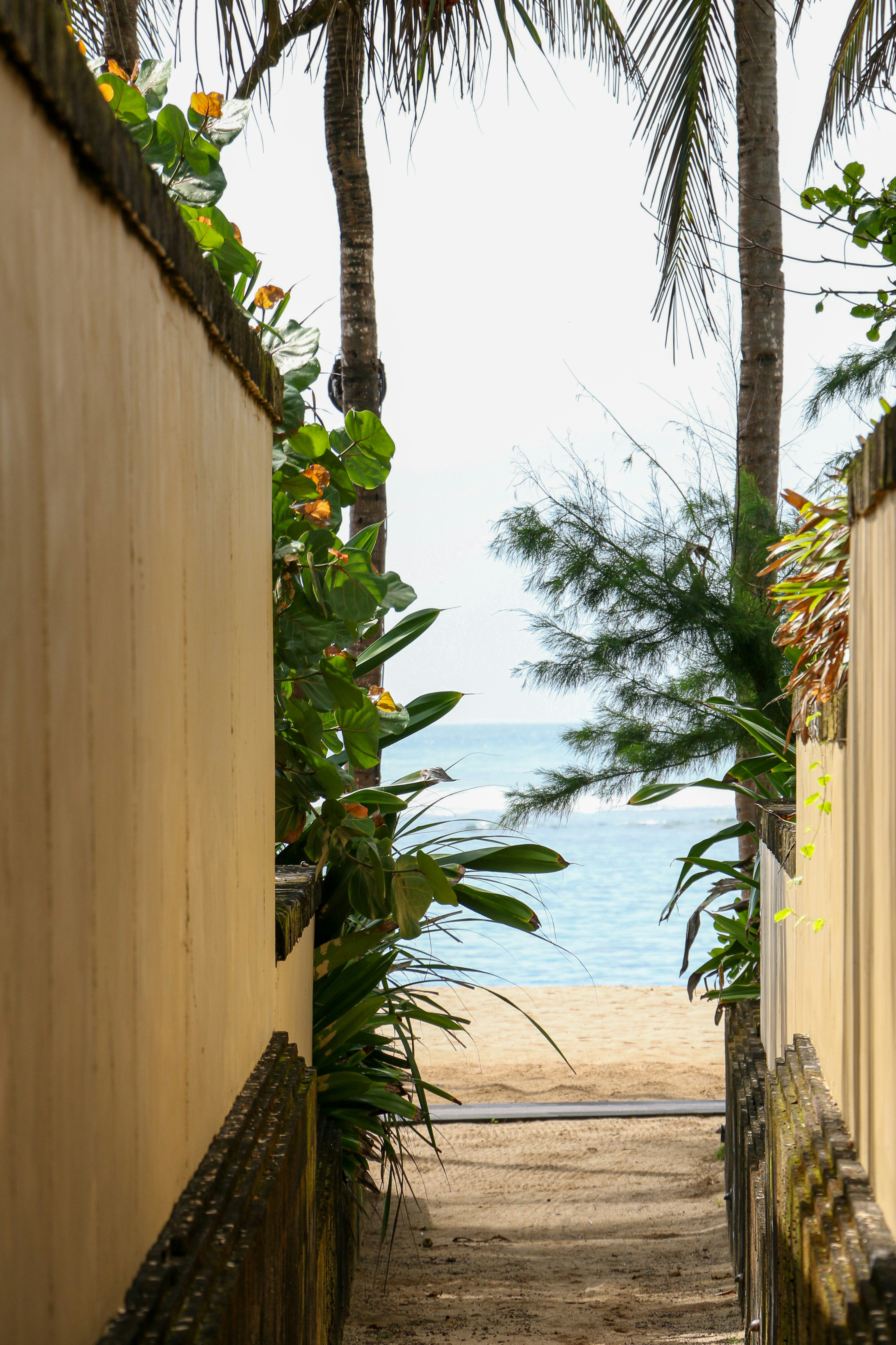 Bali photo shot on Canon EOS 70D