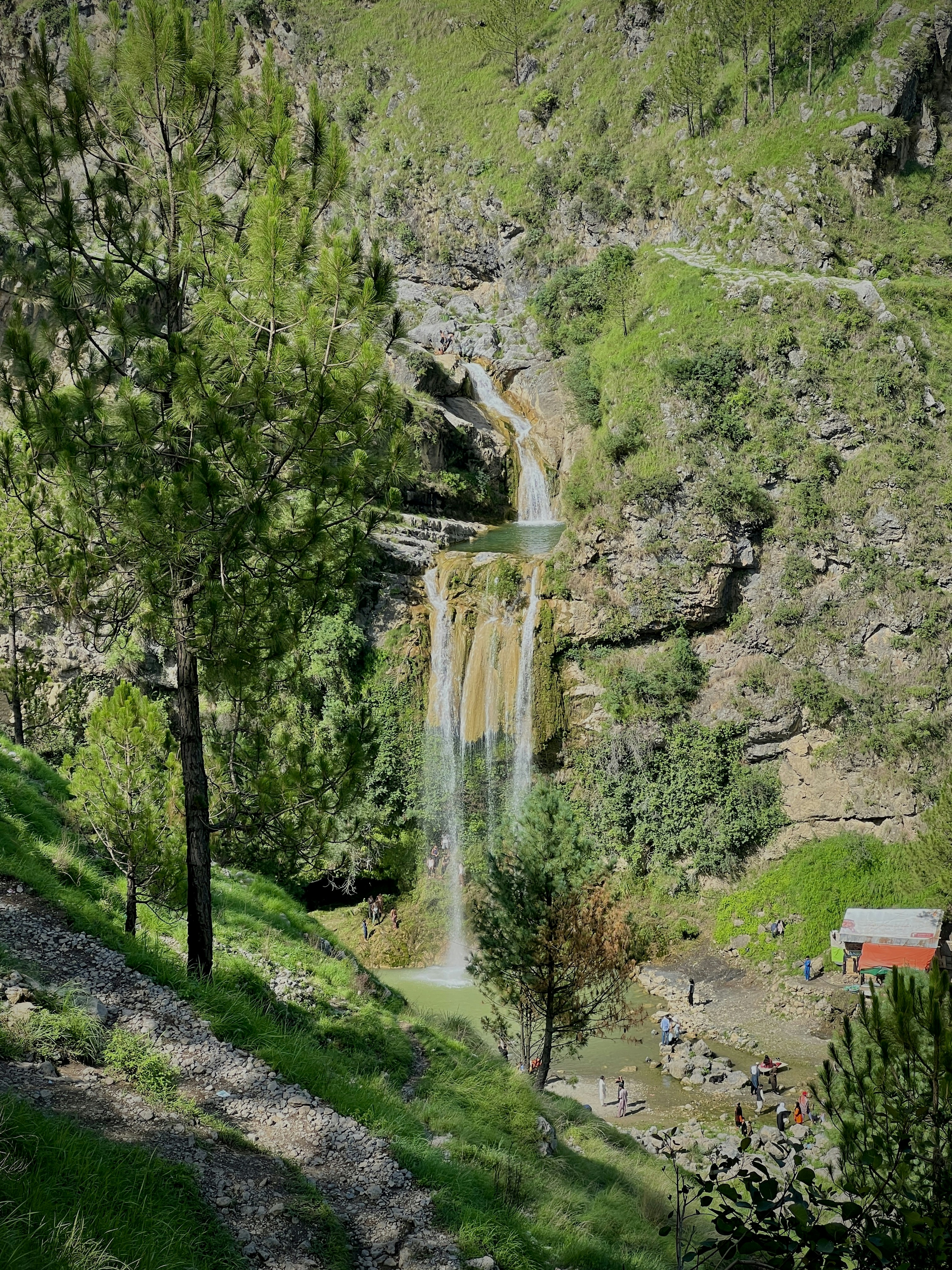 a beautiful art of nature