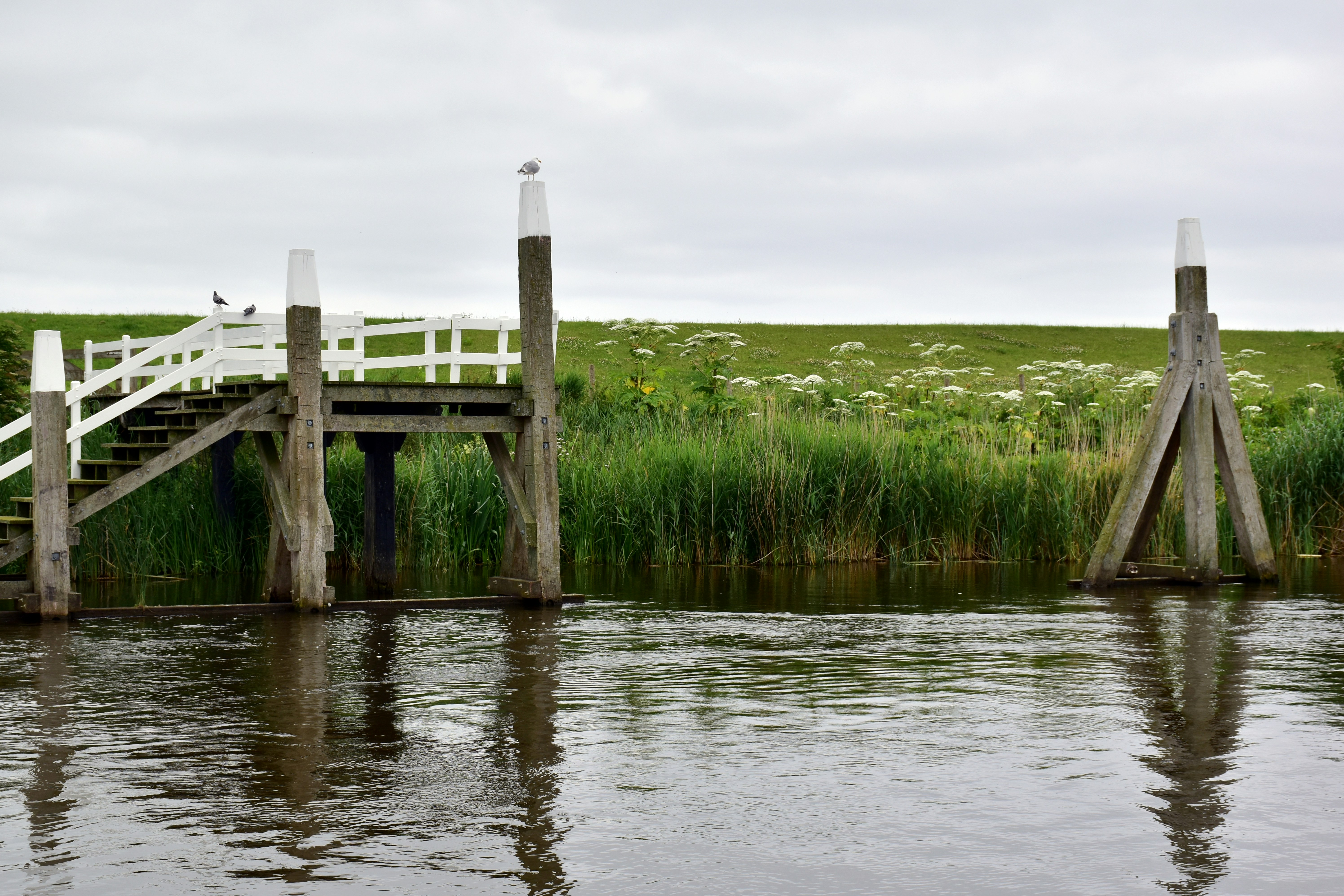 Weathered Pier Framing a Quiet Marsh Under Overcast Skies