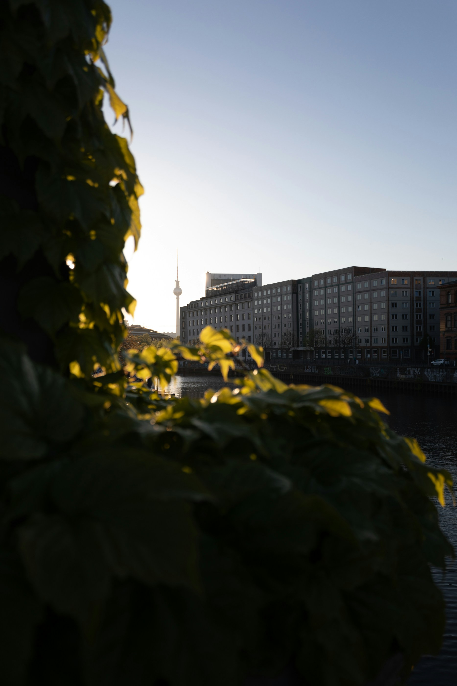 a view of a river with buildings in the background