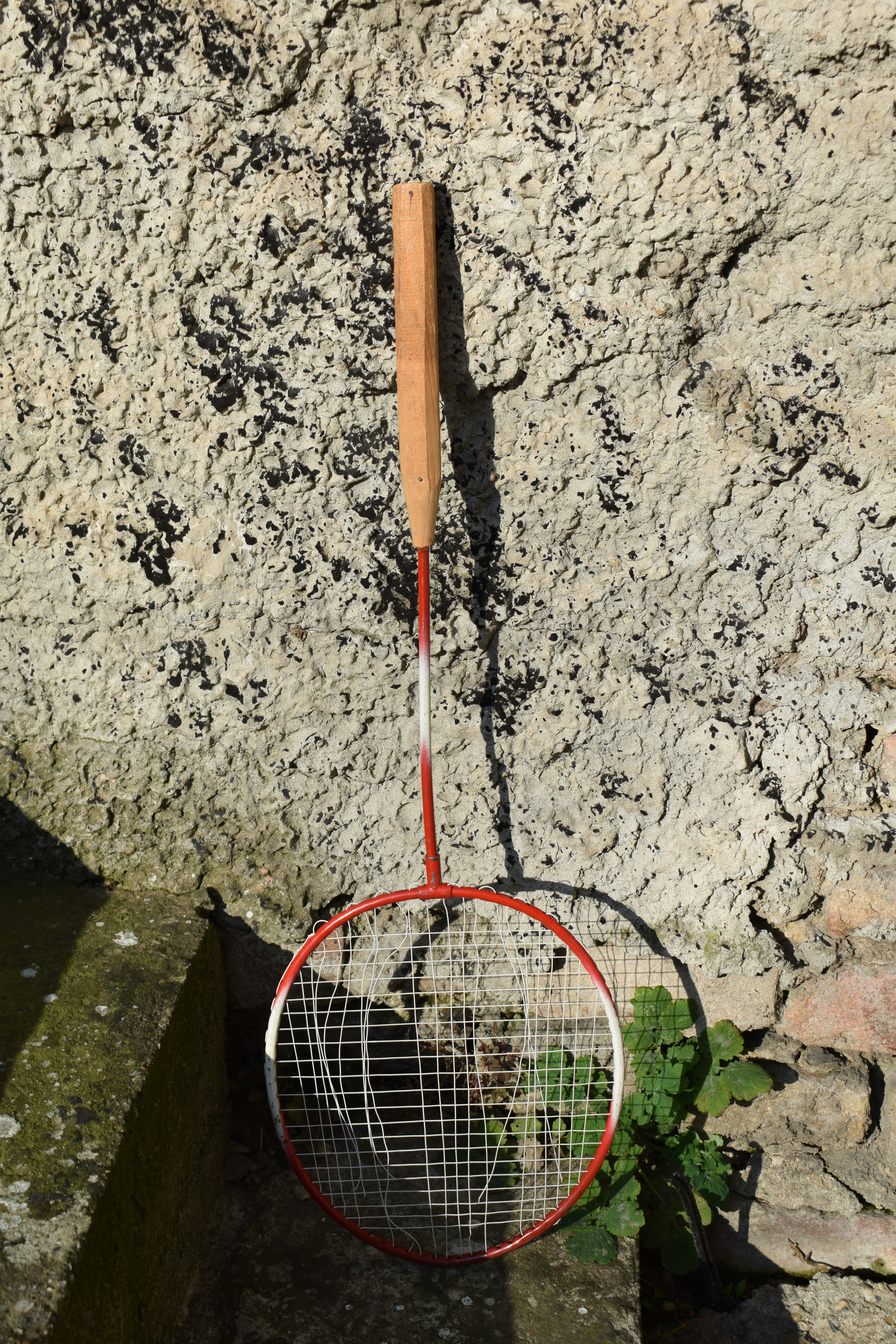 Cricket Bat and Net Amid Rough Stone Wall
