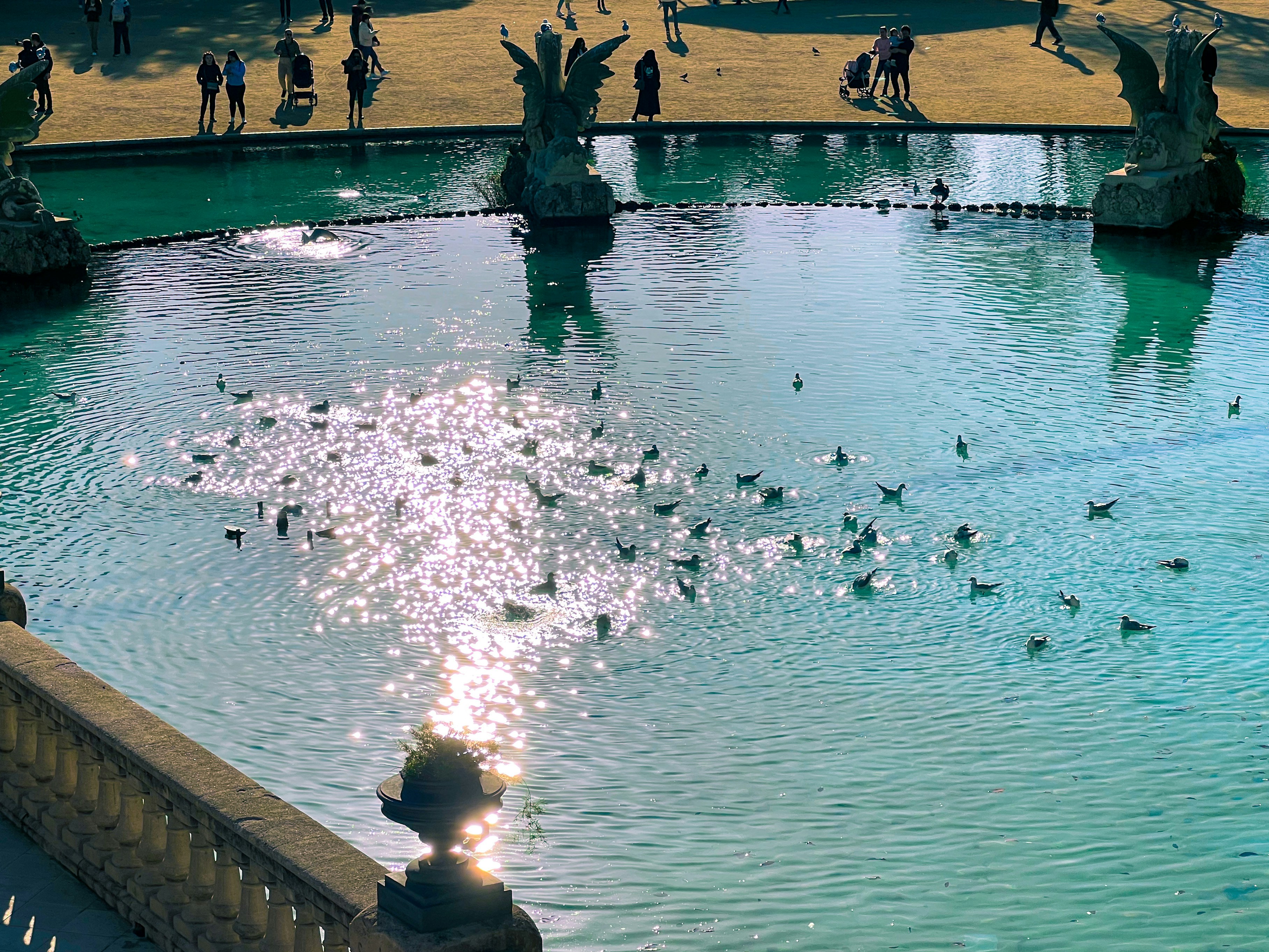 Bird’s playing in a dramatic scene