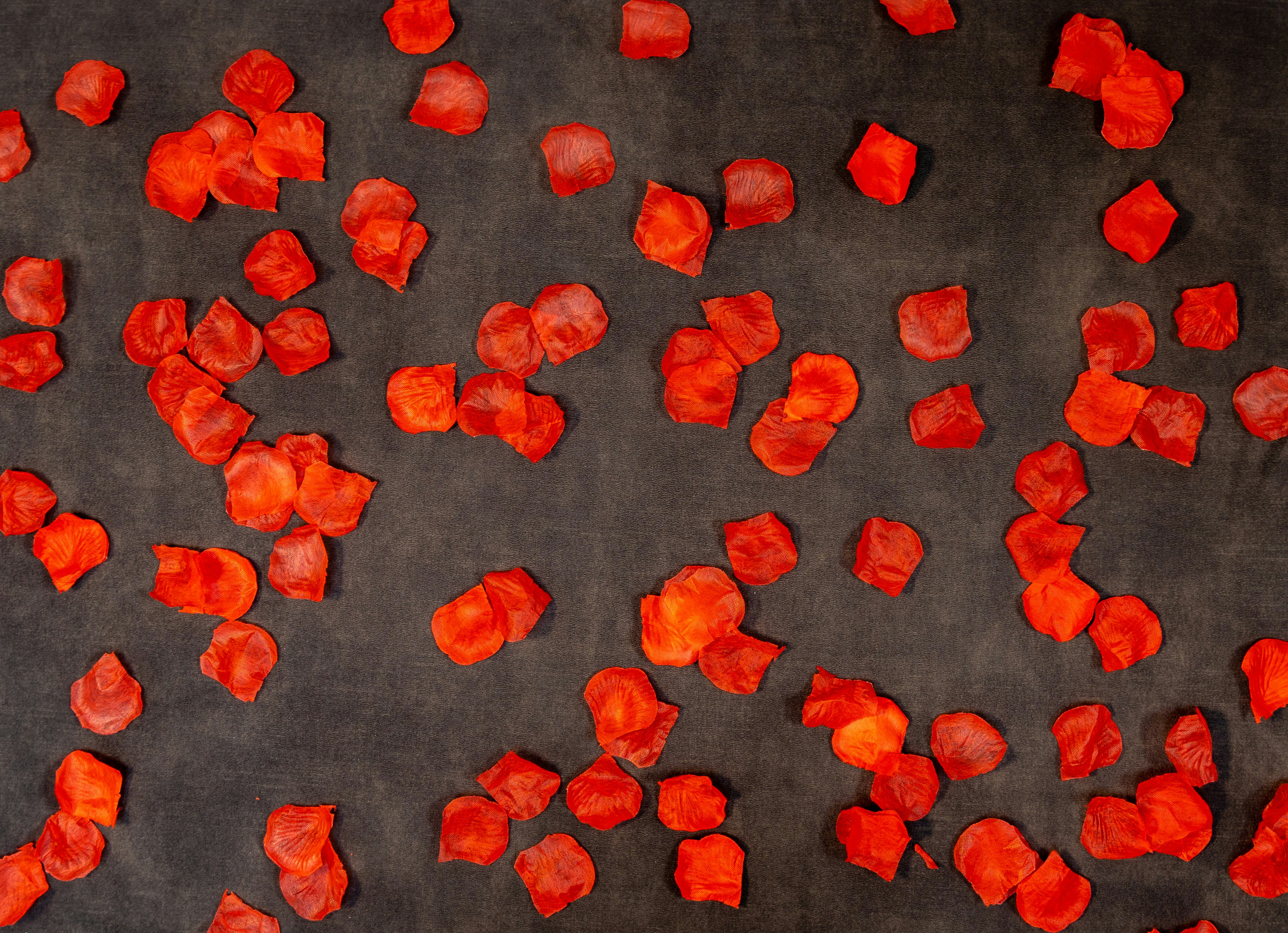 a bunch of red petals on a black surface