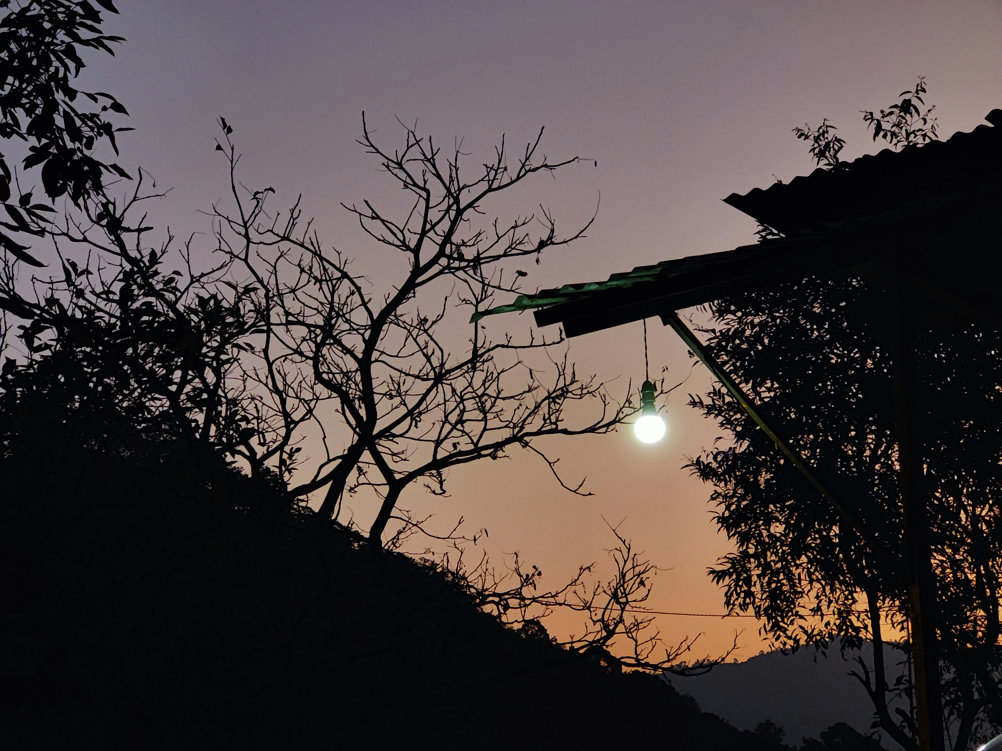 Horizon Glow at Dusk: A Quiet Silhouette