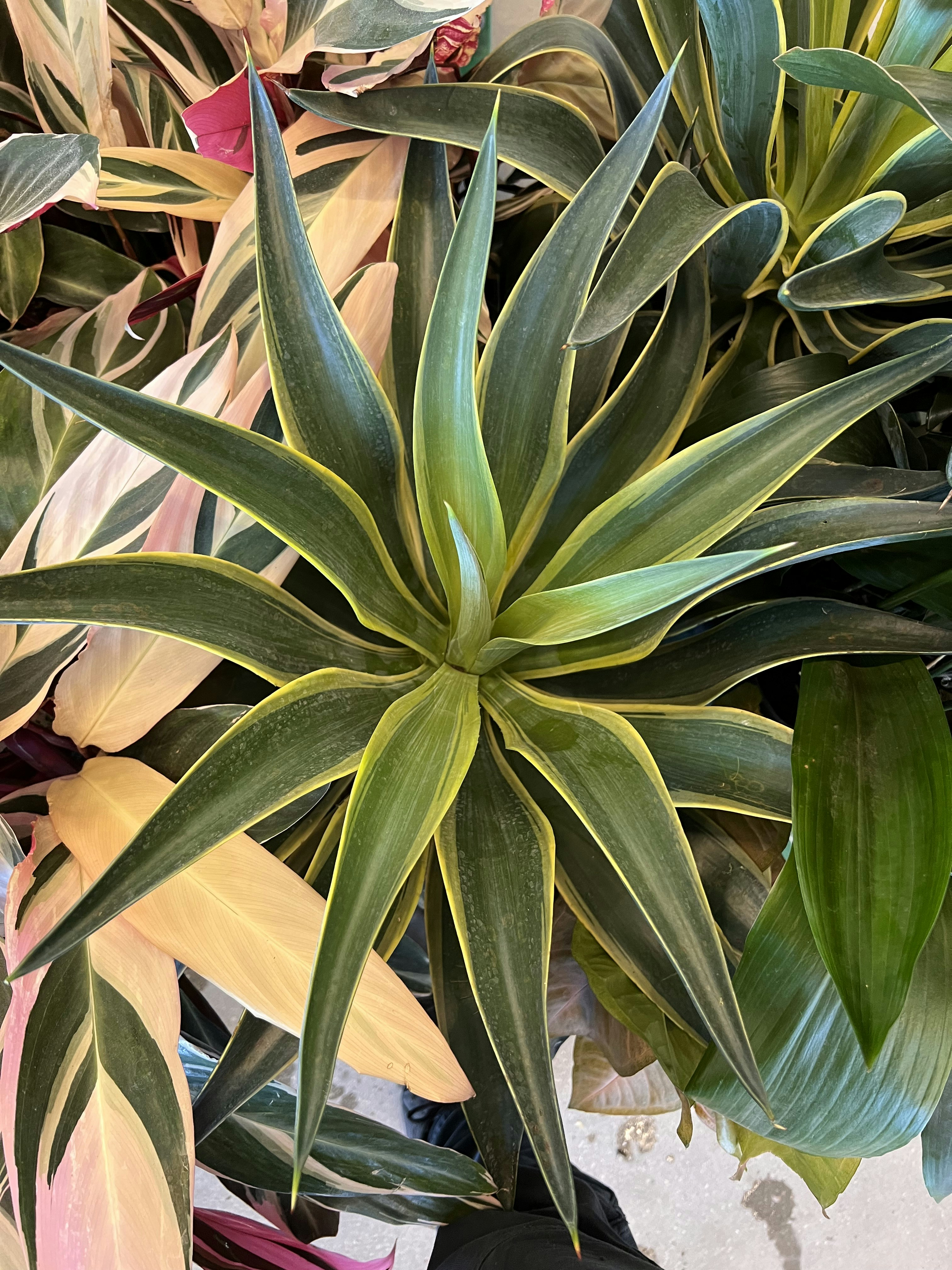 Photo by Armani Gray with Apple iPhone 13 Pro