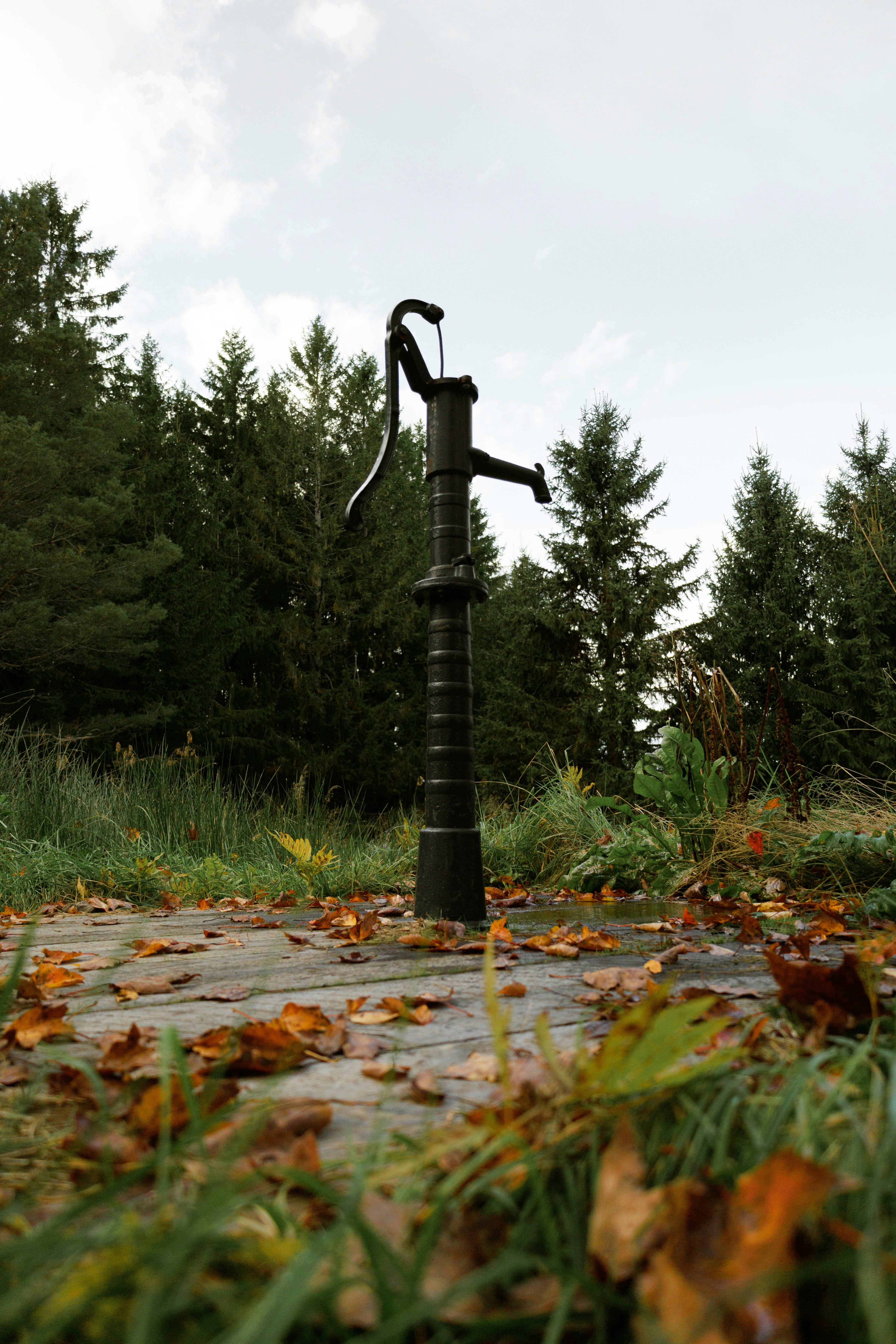 Autumn's Iron Hand-Pump: A solitary anchor in a leaf-strewn clearing