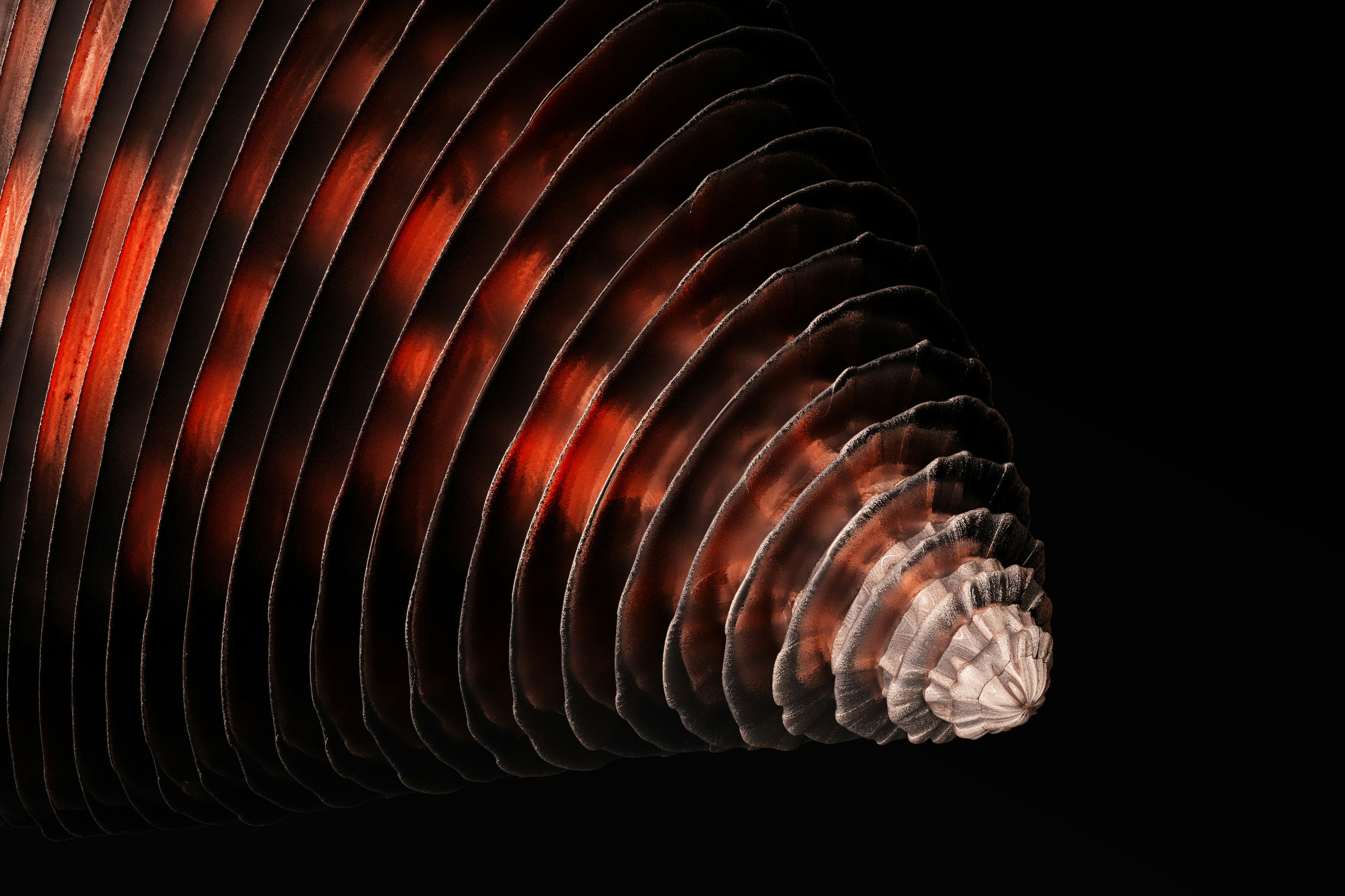 Un gros plan d’un objet rouge et blanc dans l’obscurité photo – Image ...