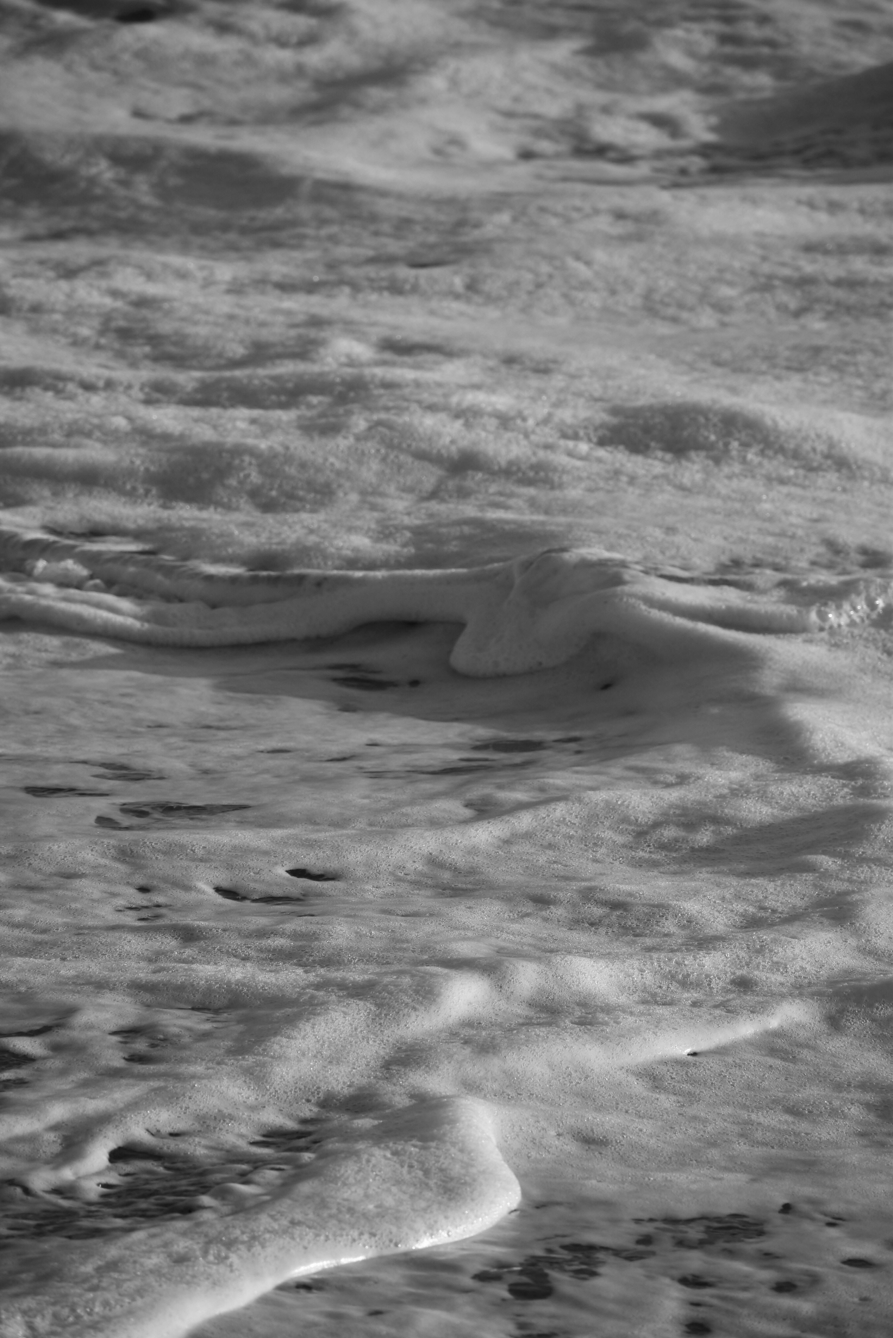 Monochrome Ice Ribbons: Textural Echoes Across a Snow-Covered Surface