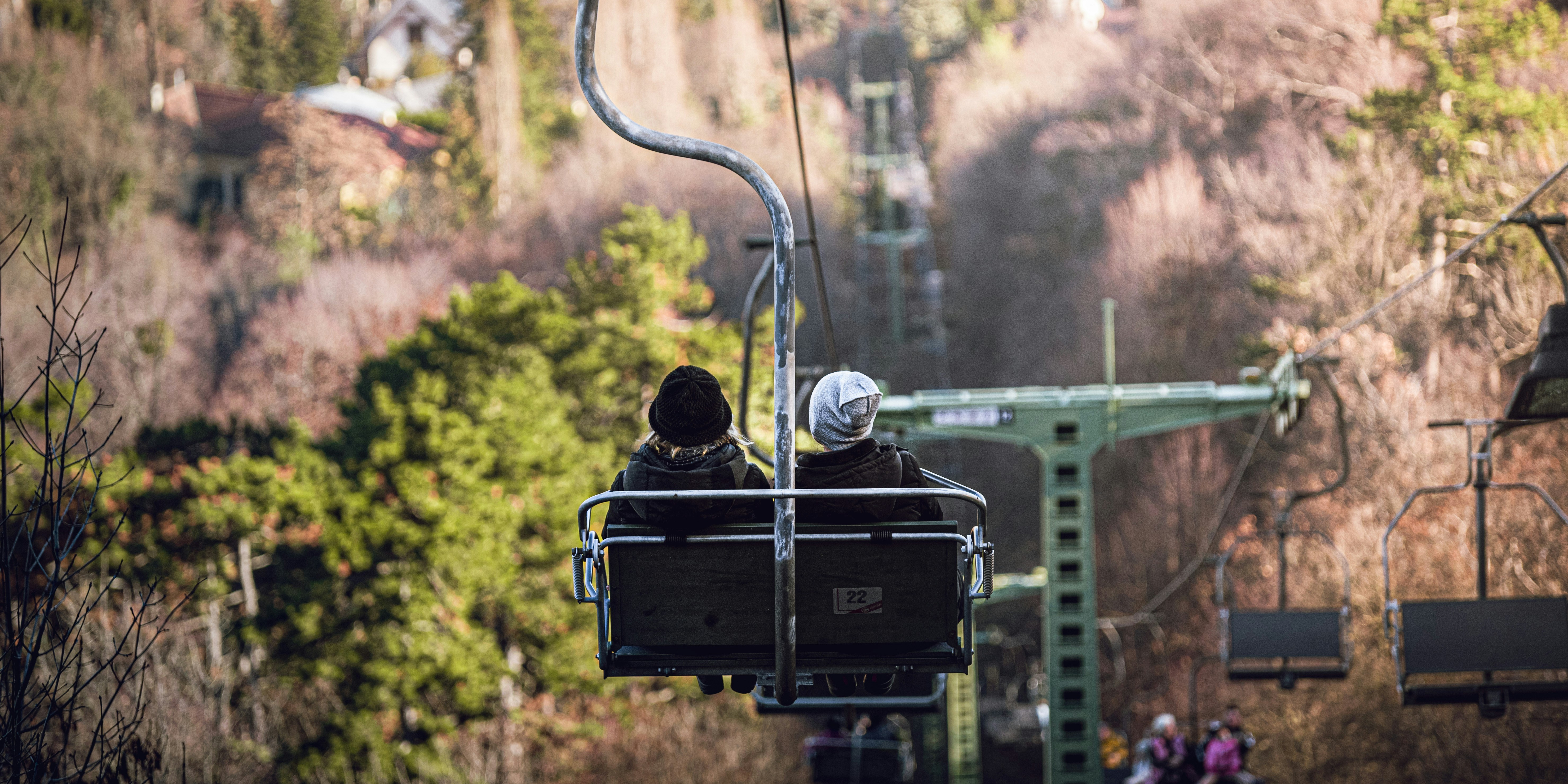 Ridge Line Ascent: Riders in a Cable Car Quietly Climb the Forest