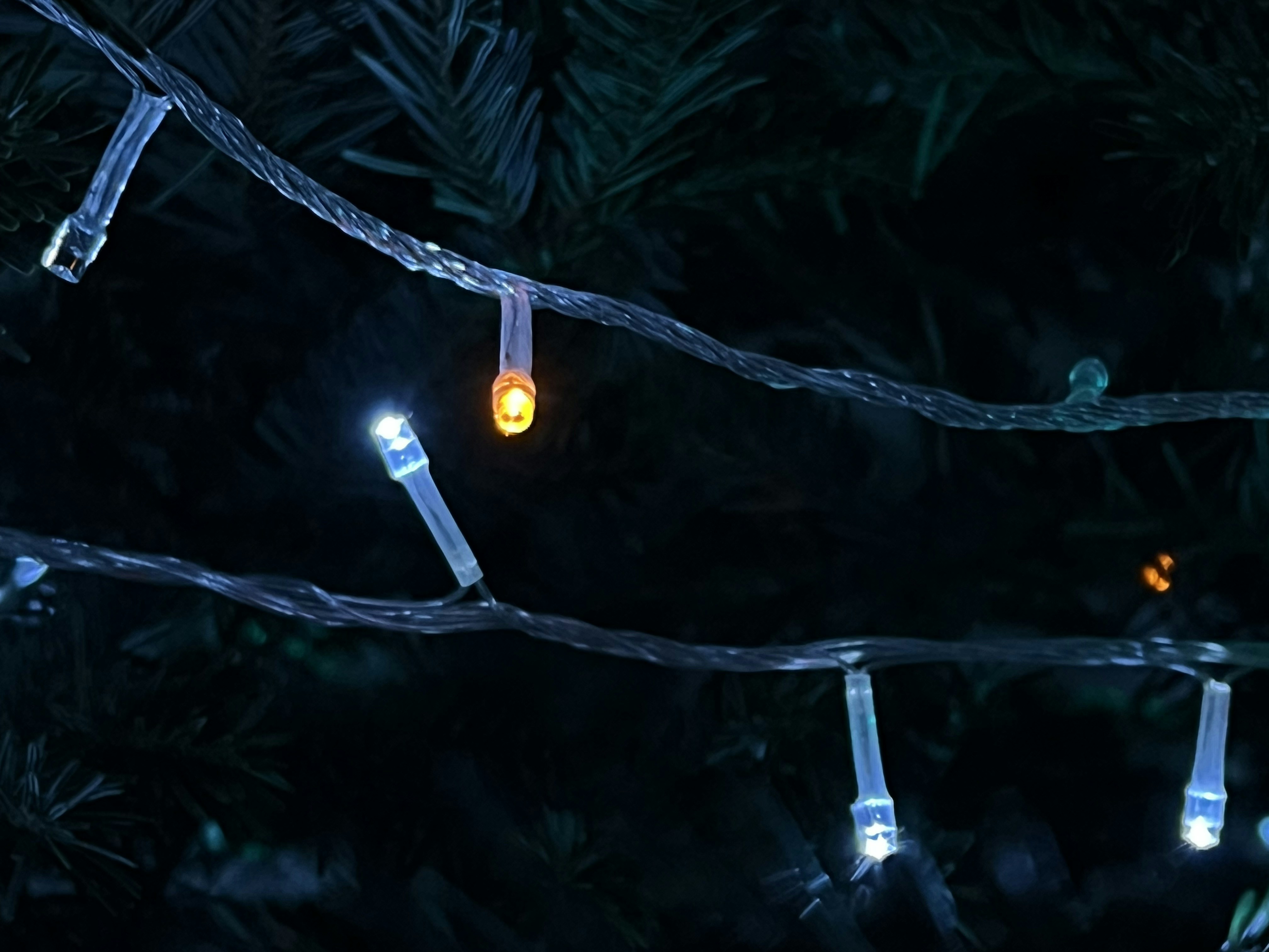 Whispering Wires: Tiny Orbs of Winter Light